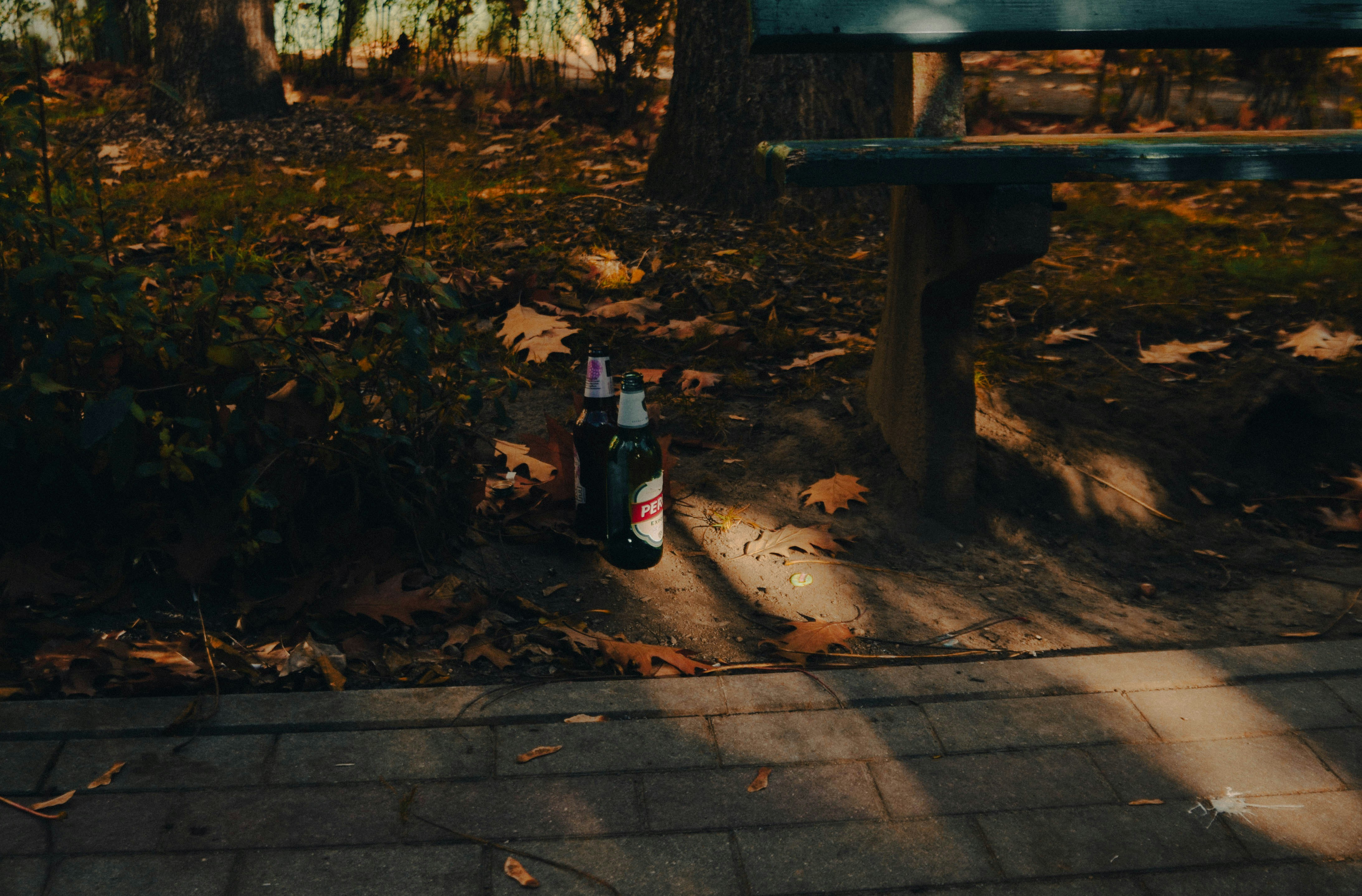 Autumn Quiet: A Lone Bottle under Dappled Park Light