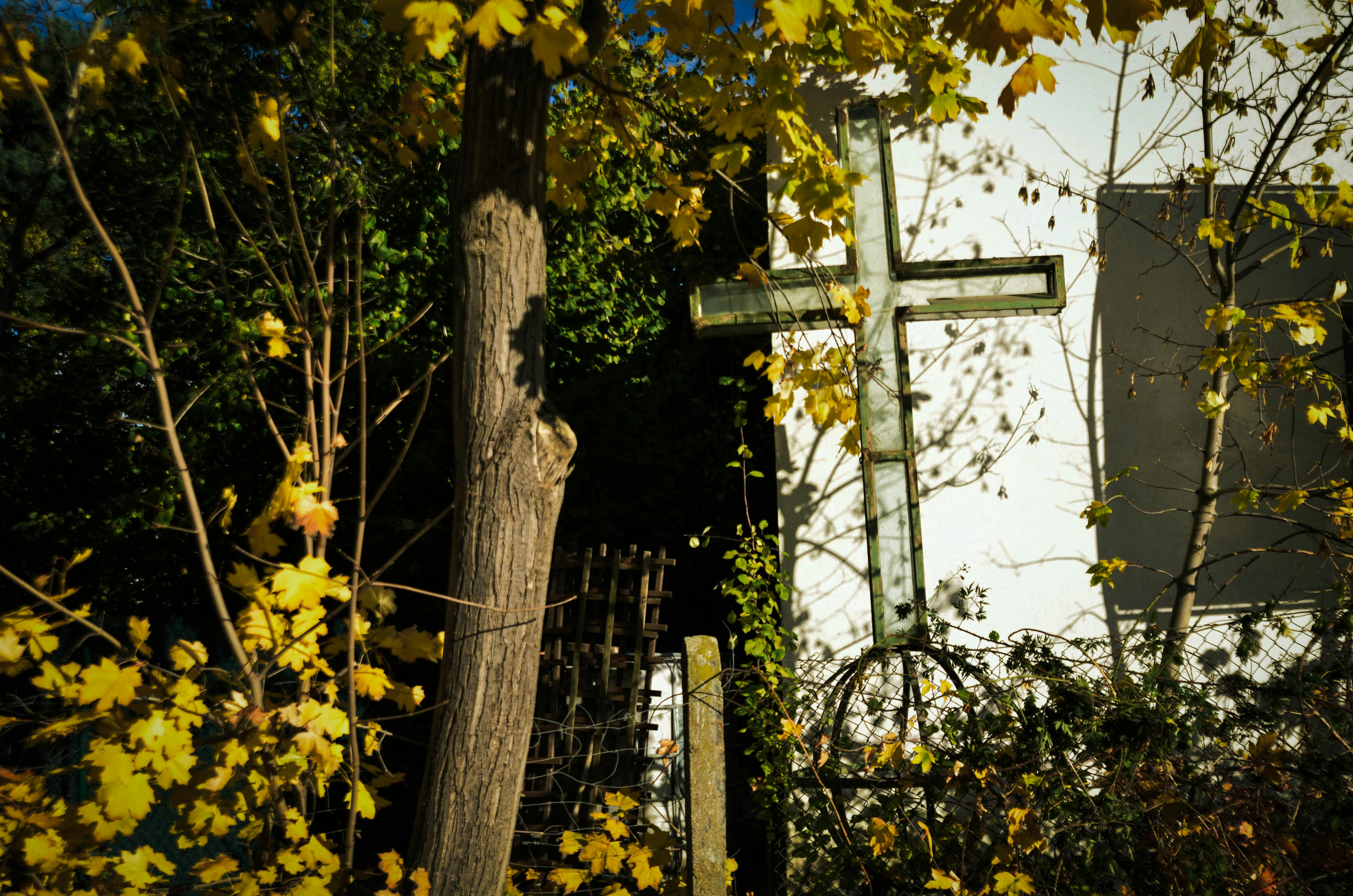 Whispers of Faith Amidst Autumn's Embrace