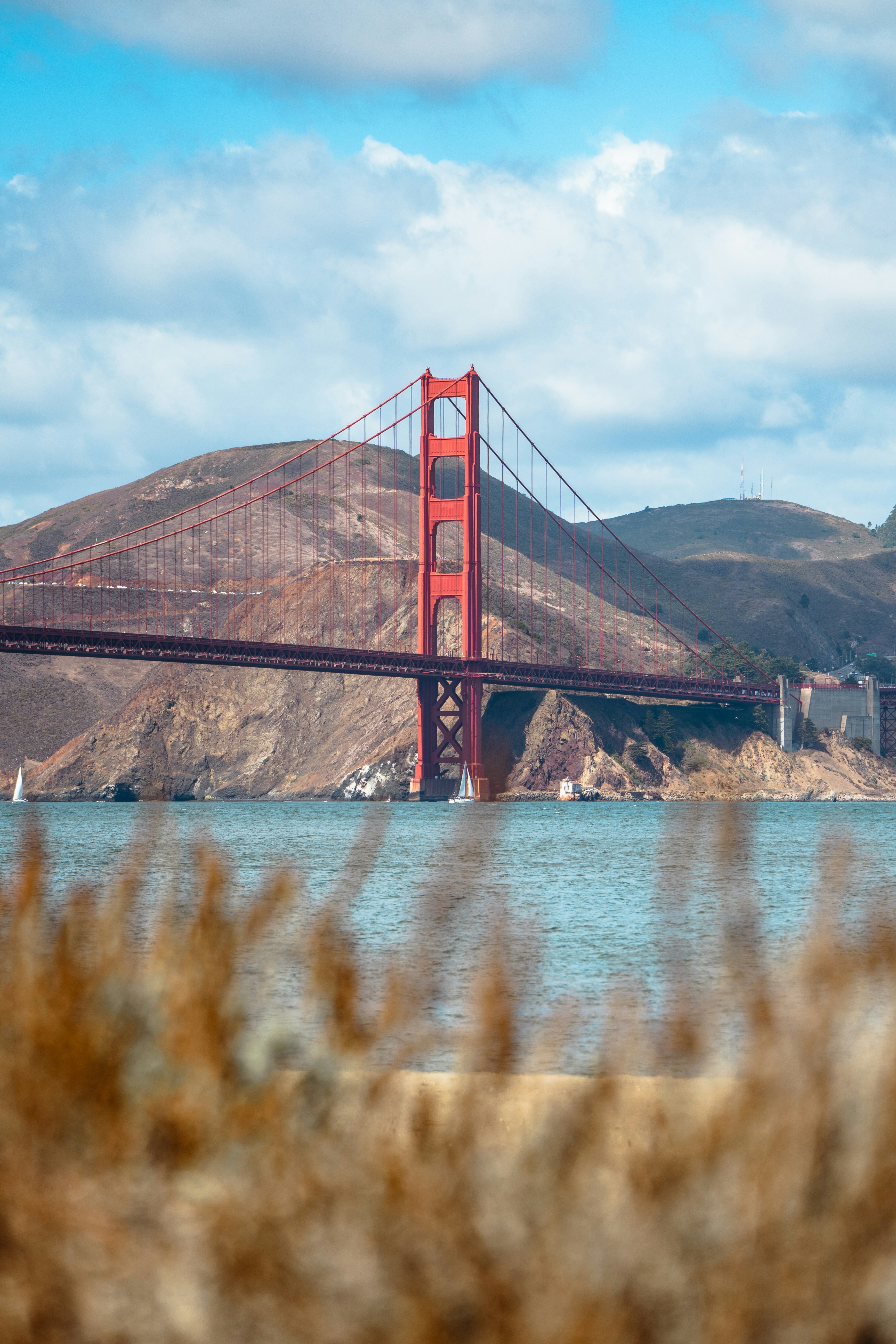 Golden Gate Bridge majestically spans the bay, framed by coastal hills and a tranquil waterway. The foreground features blurred grasses, enhancing the depth of the scene.