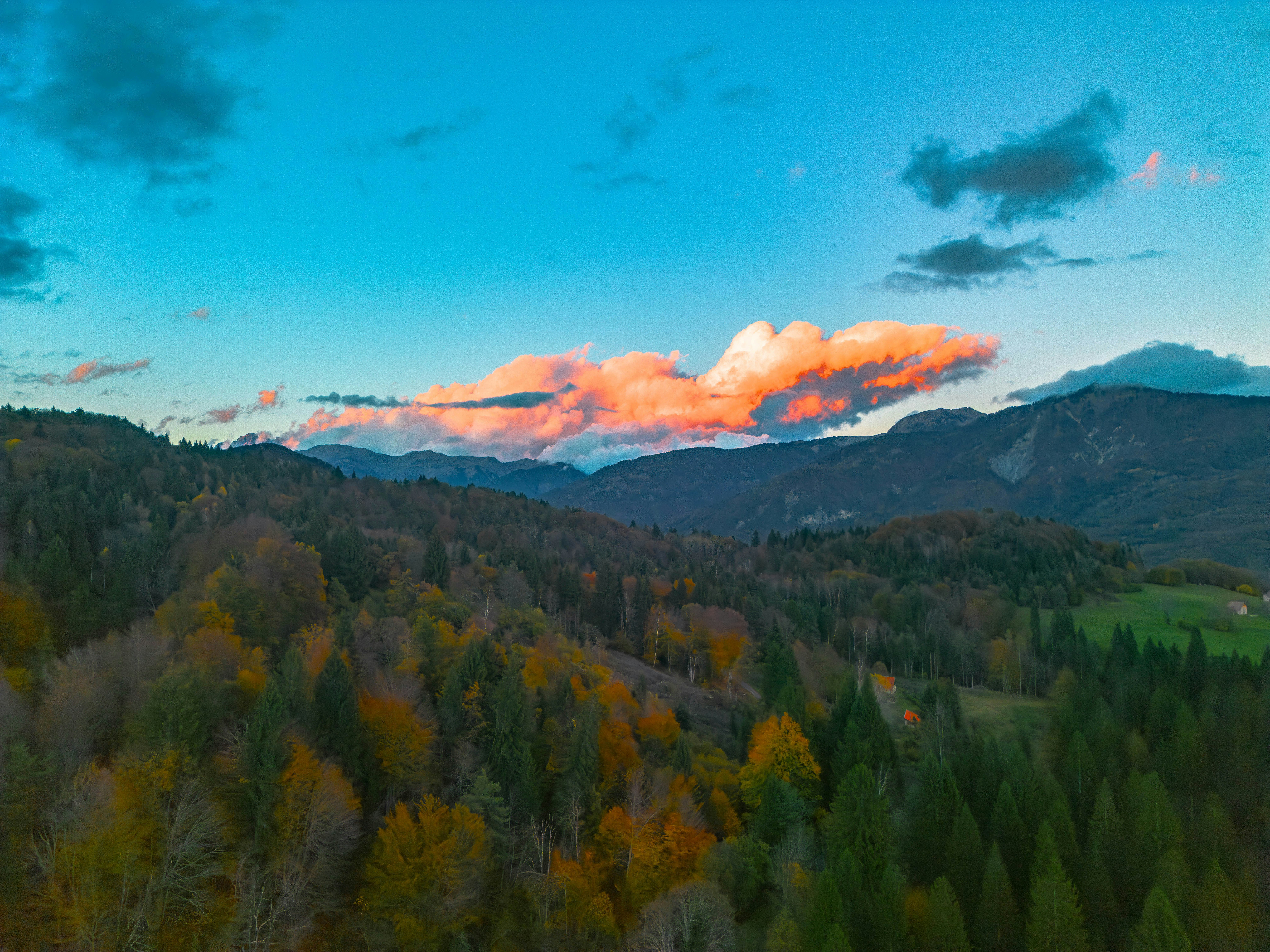 Whispers of Autumn: A Tapestry of Color in the Highlands