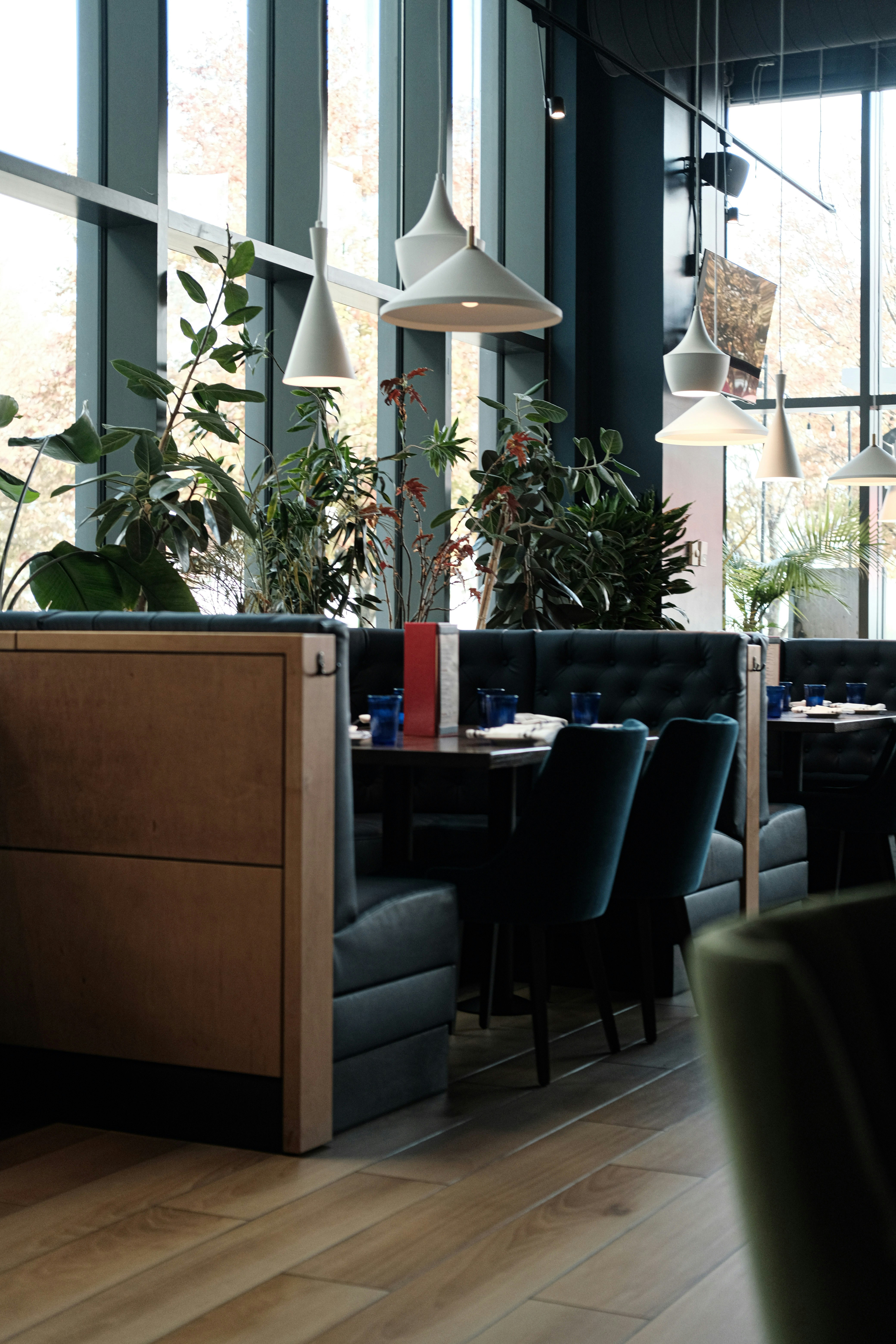 Restaurant booths with plants and modern lighting.