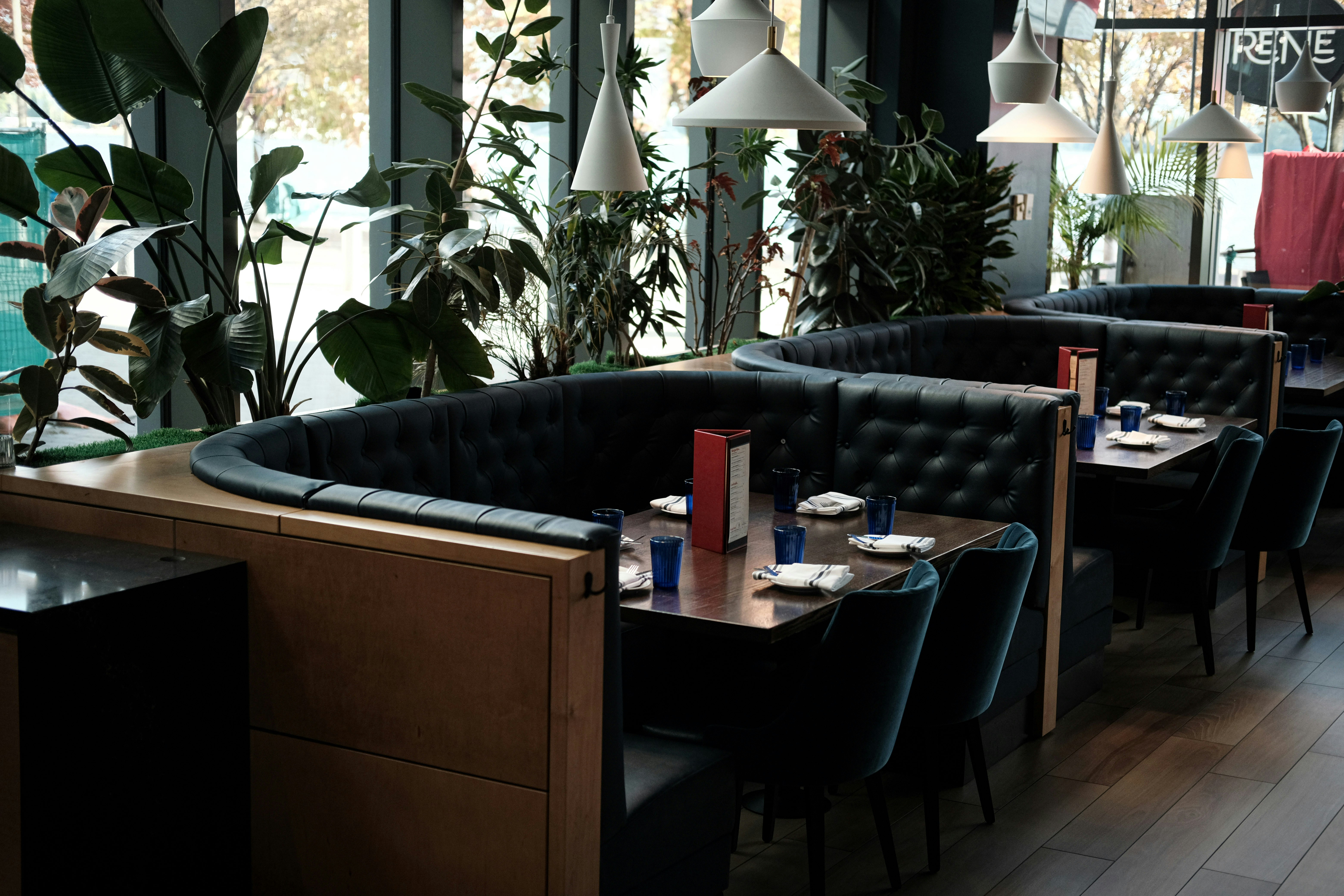 Stylish restaurant interior featuring plush seating, vibrant greenery, and elegant table settings.