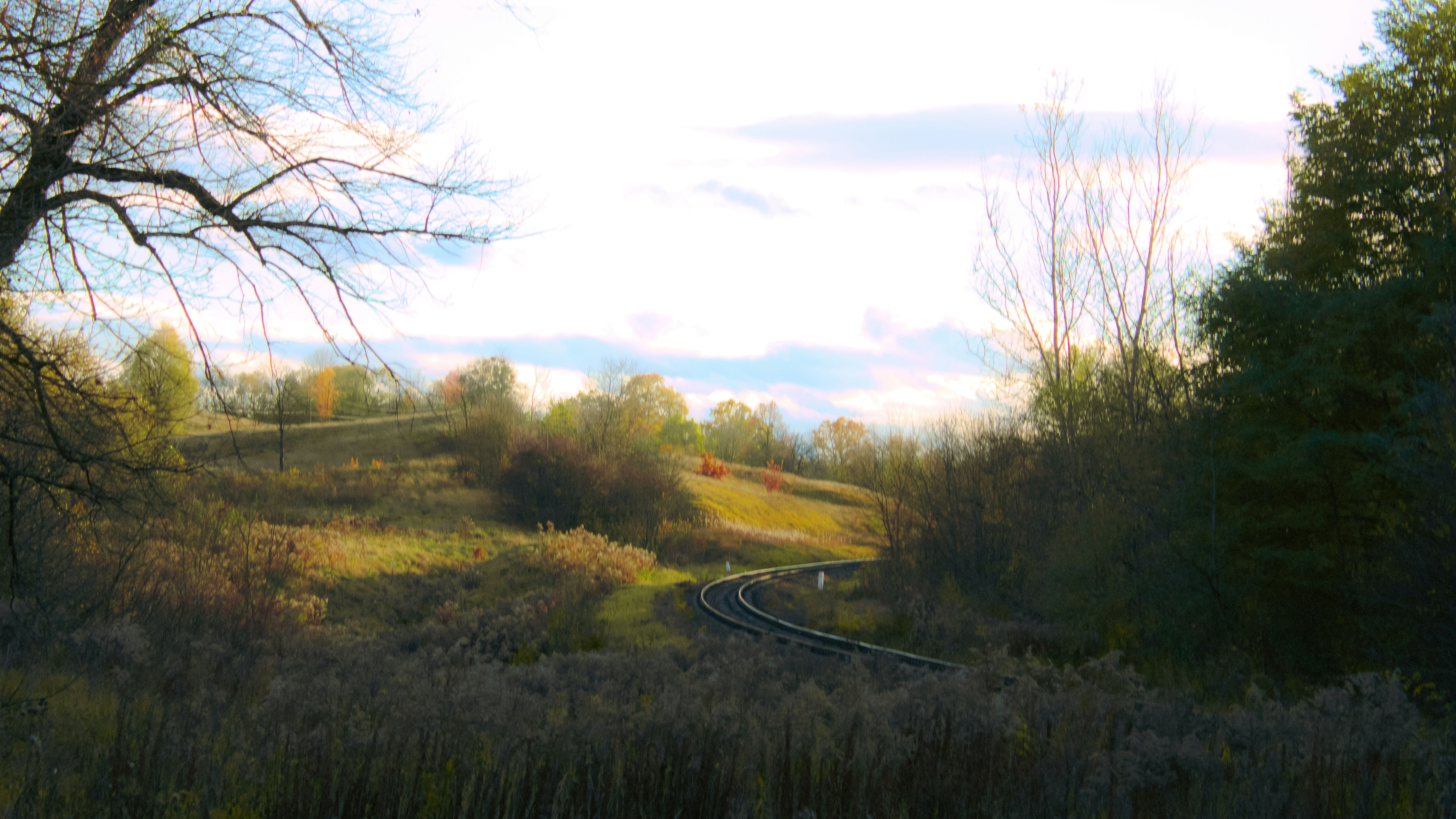 Curved Path Through Autumn's Embrace