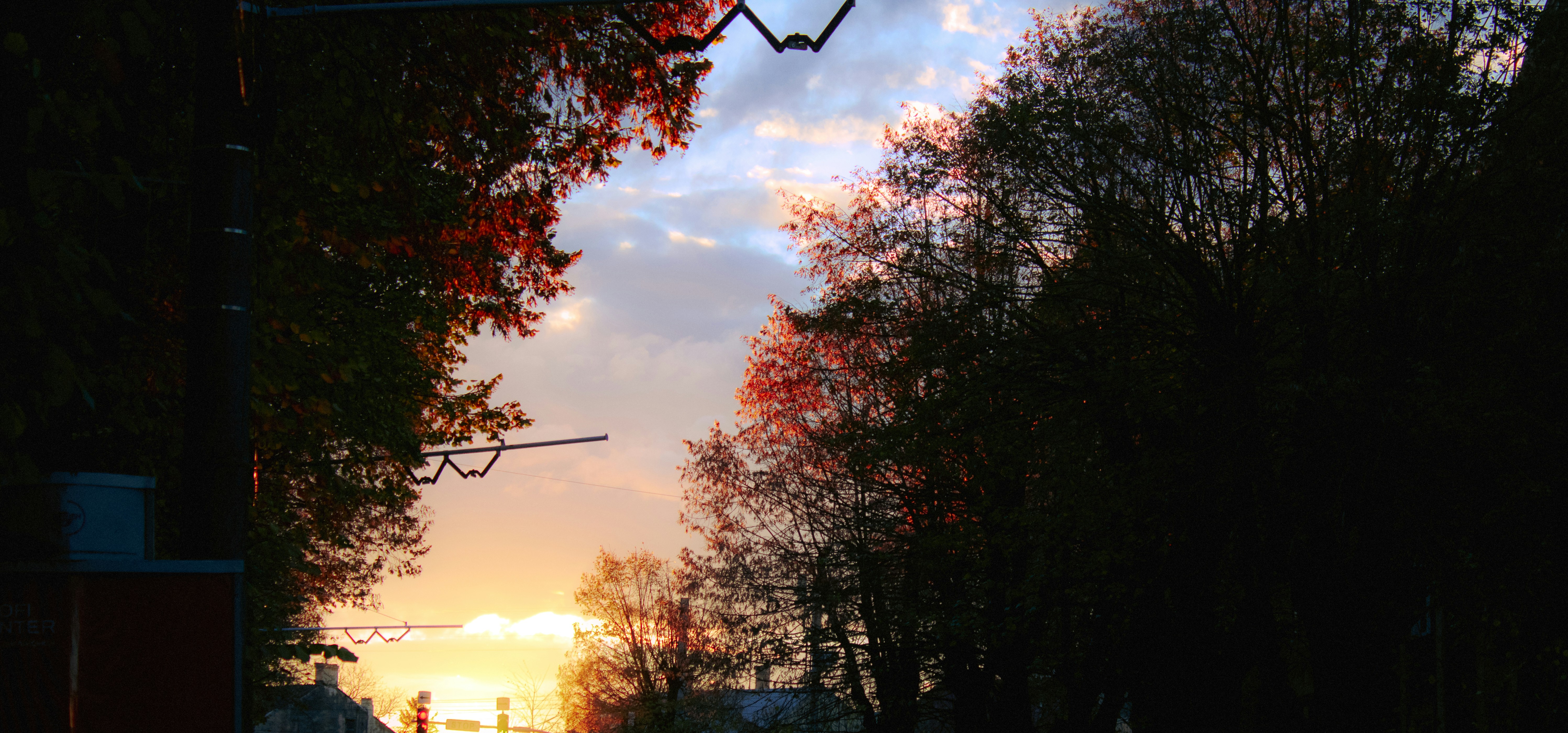 Vibrant autumn foliage frames a sunset, casting warm hues across the sky as day transitions to night.