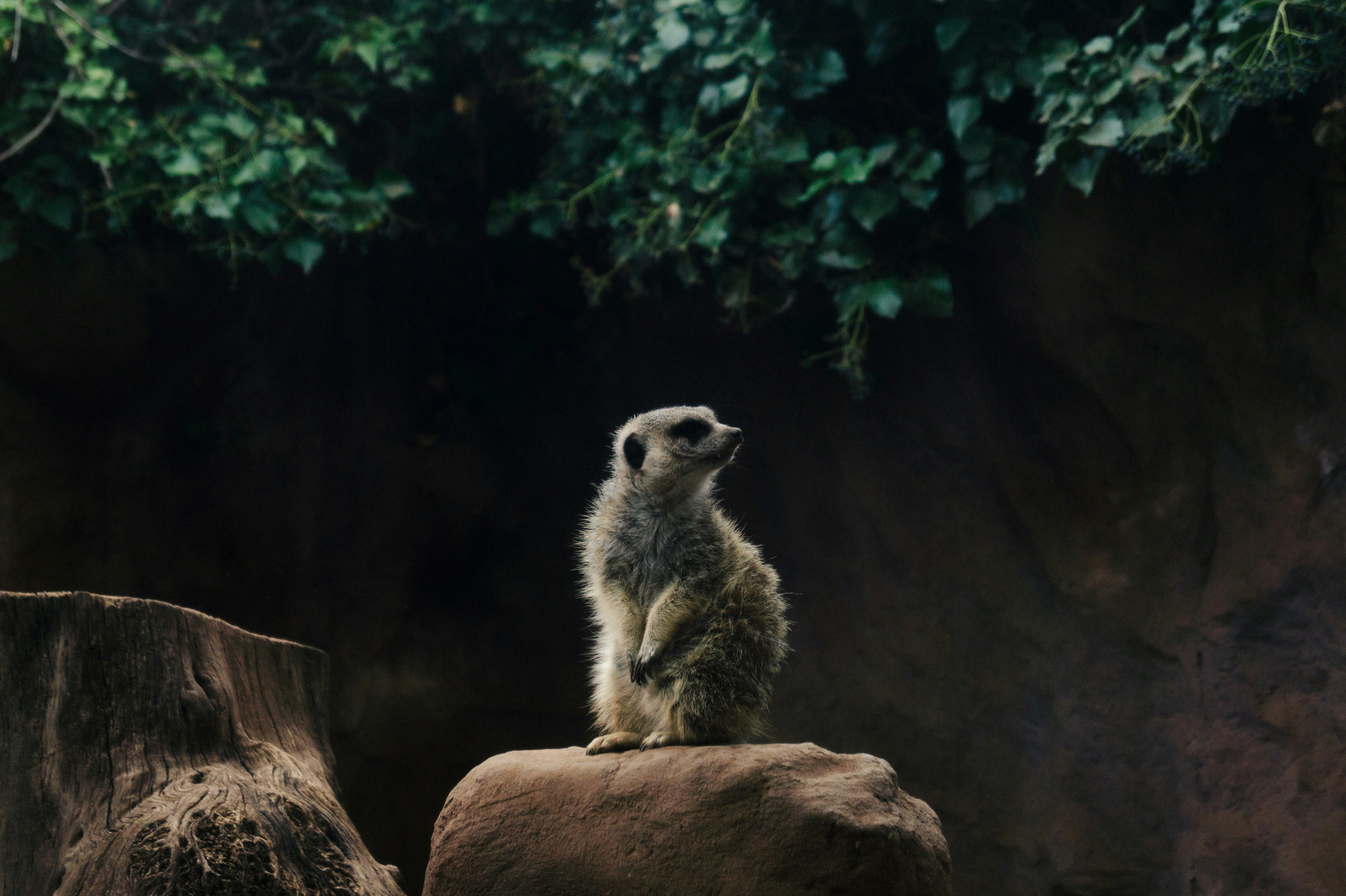 Photo by Oscar Gúmera Arriagada with Sony Alpha 58