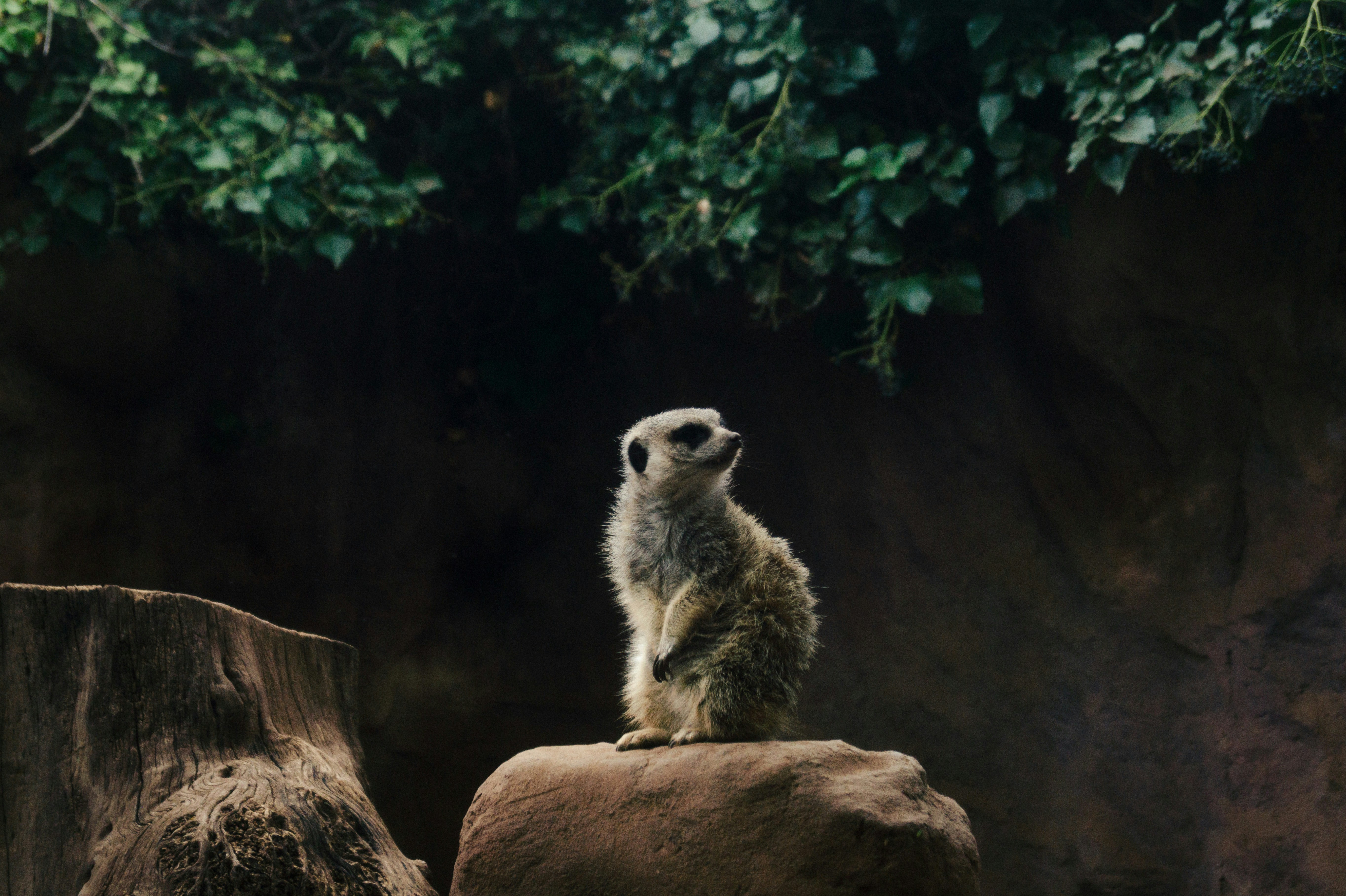 Photo by Oscar Gúmera Arriagada with Sony Alpha 58