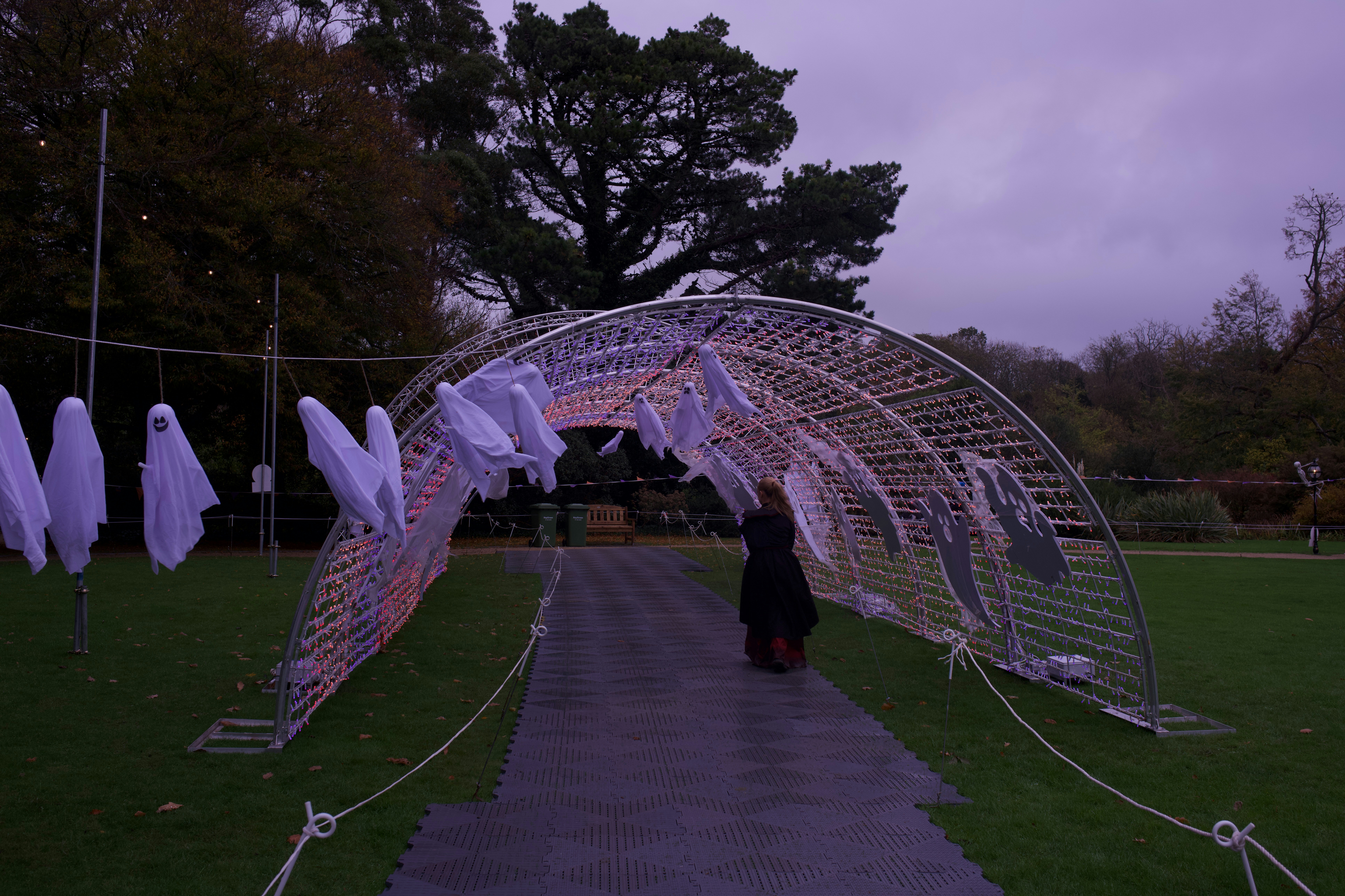 Photo by Kevin Dowling with Fujifilm X-T5