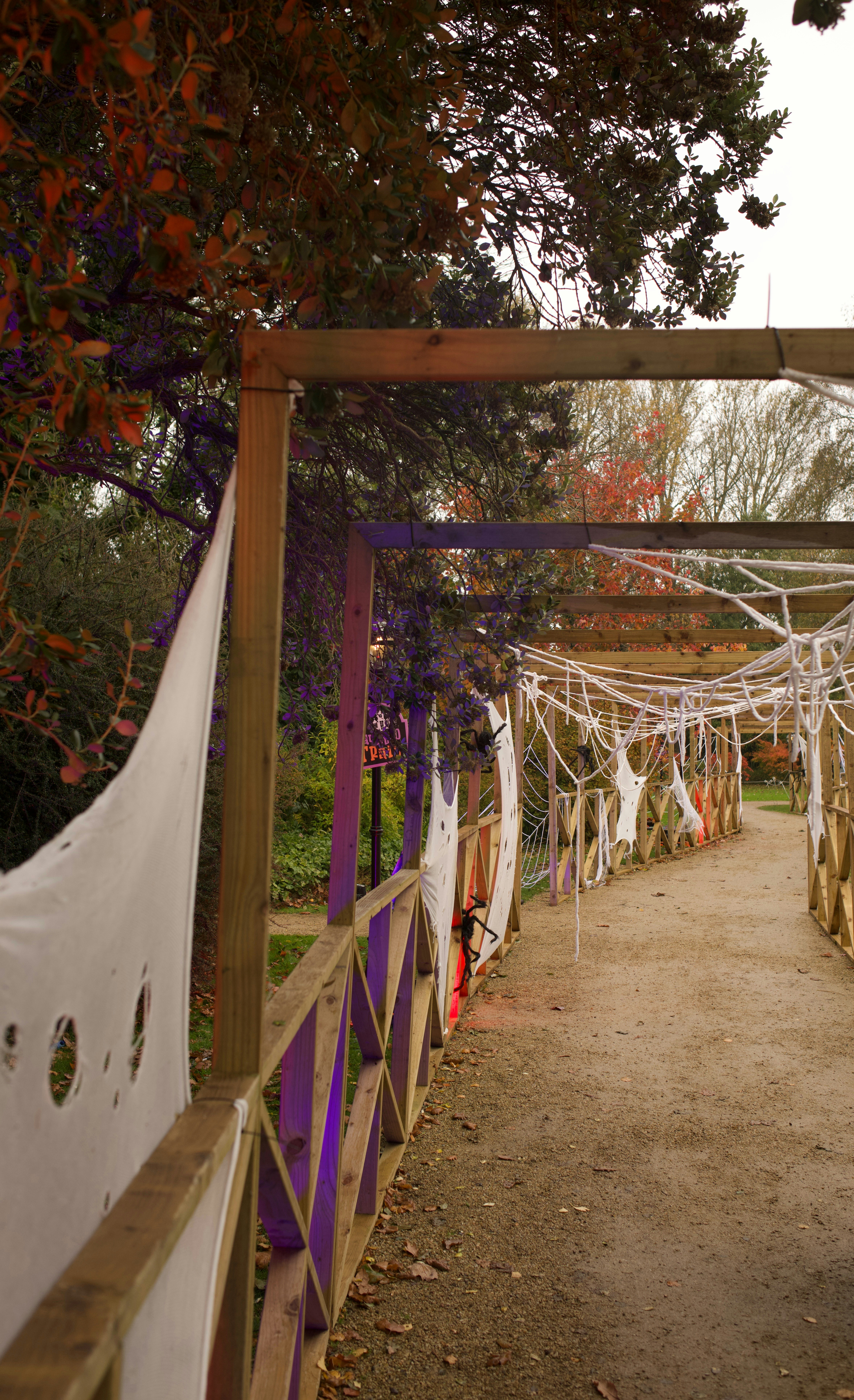 Photo by Kevin Dowling with Fujifilm X-T5