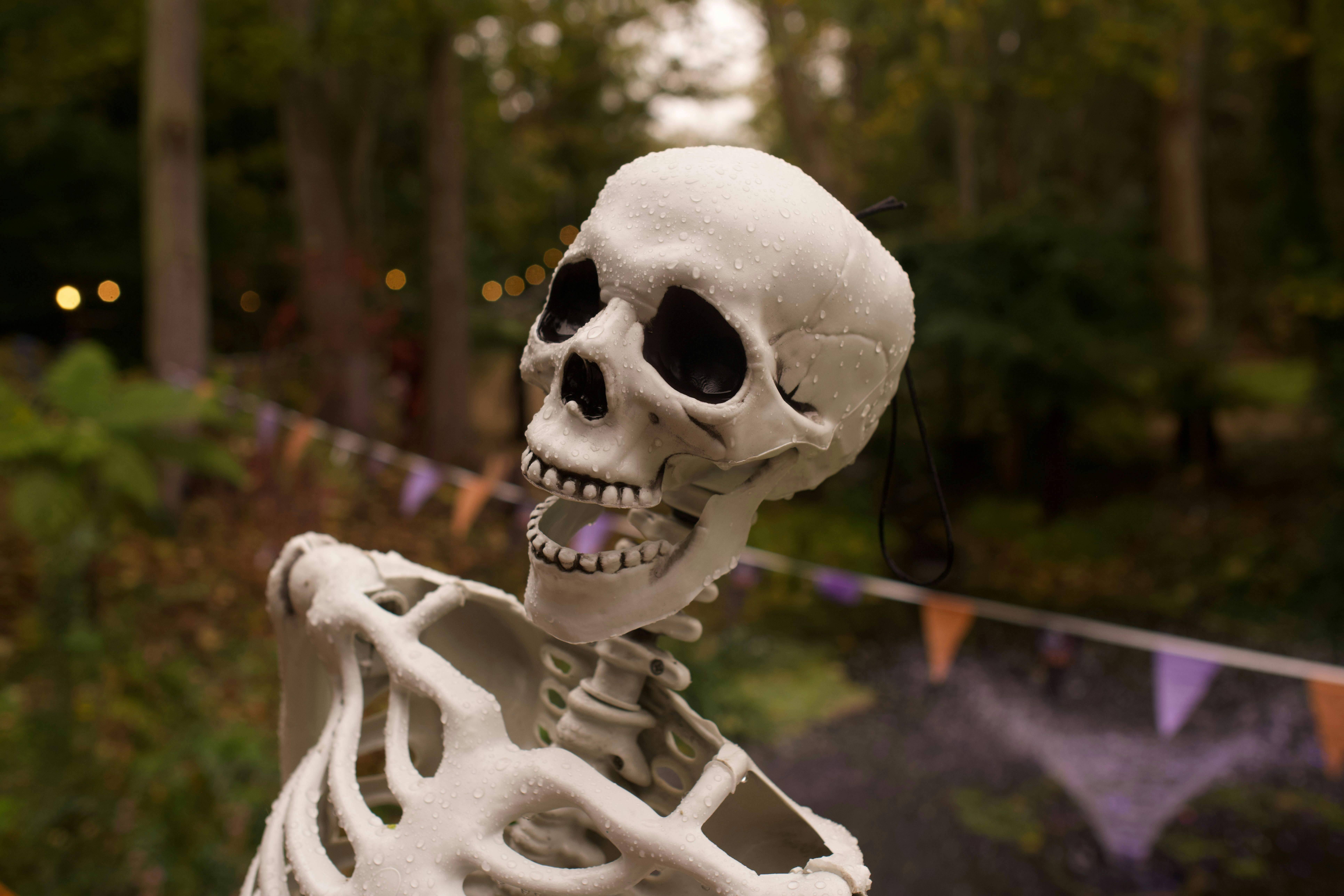 A cheerful skeleton stands amidst a wooded area, surrounded by colorful bunting and soft lighting. The scene evokes a playful, festive atmosphere.