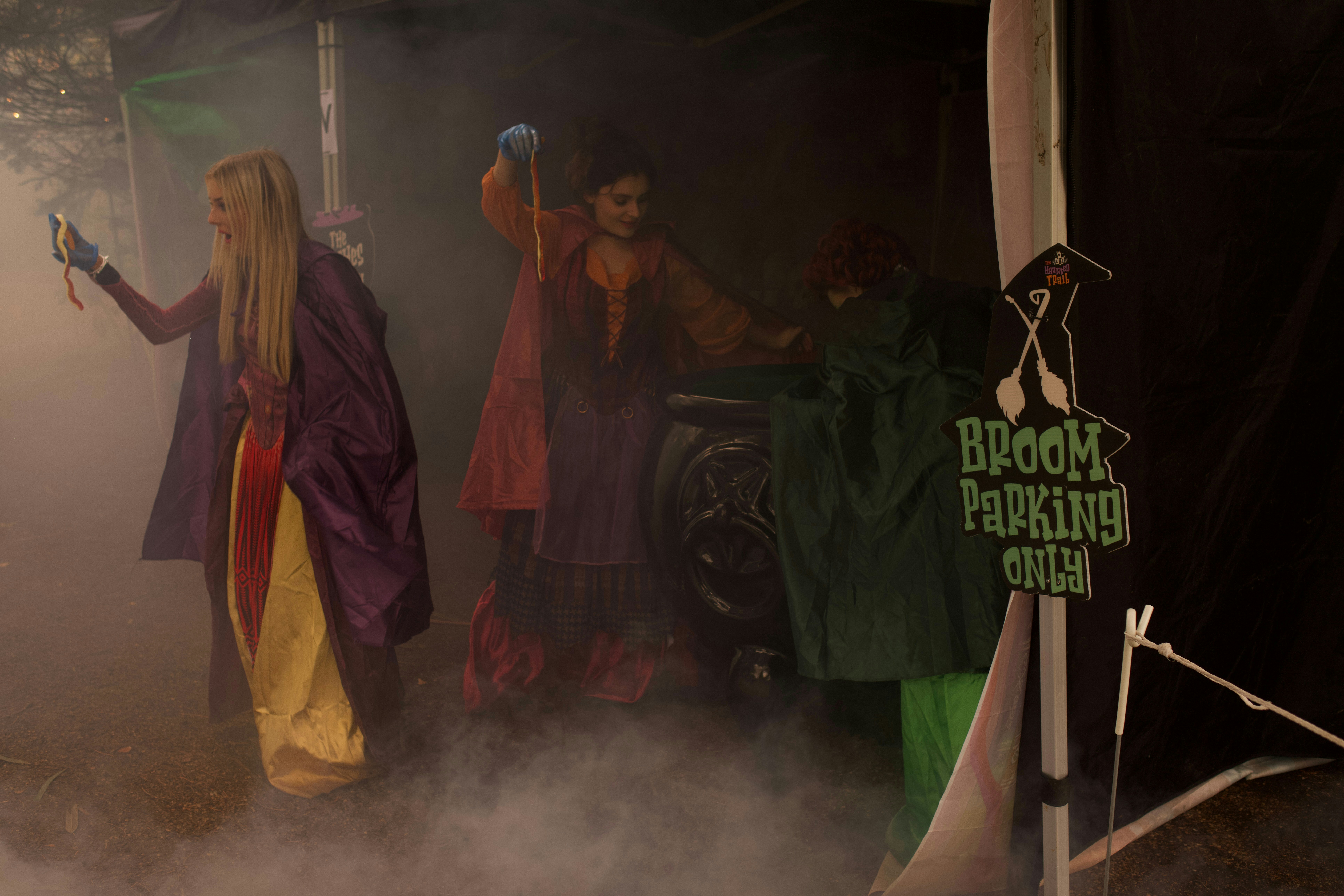 Enchanting Ritual in the Mist