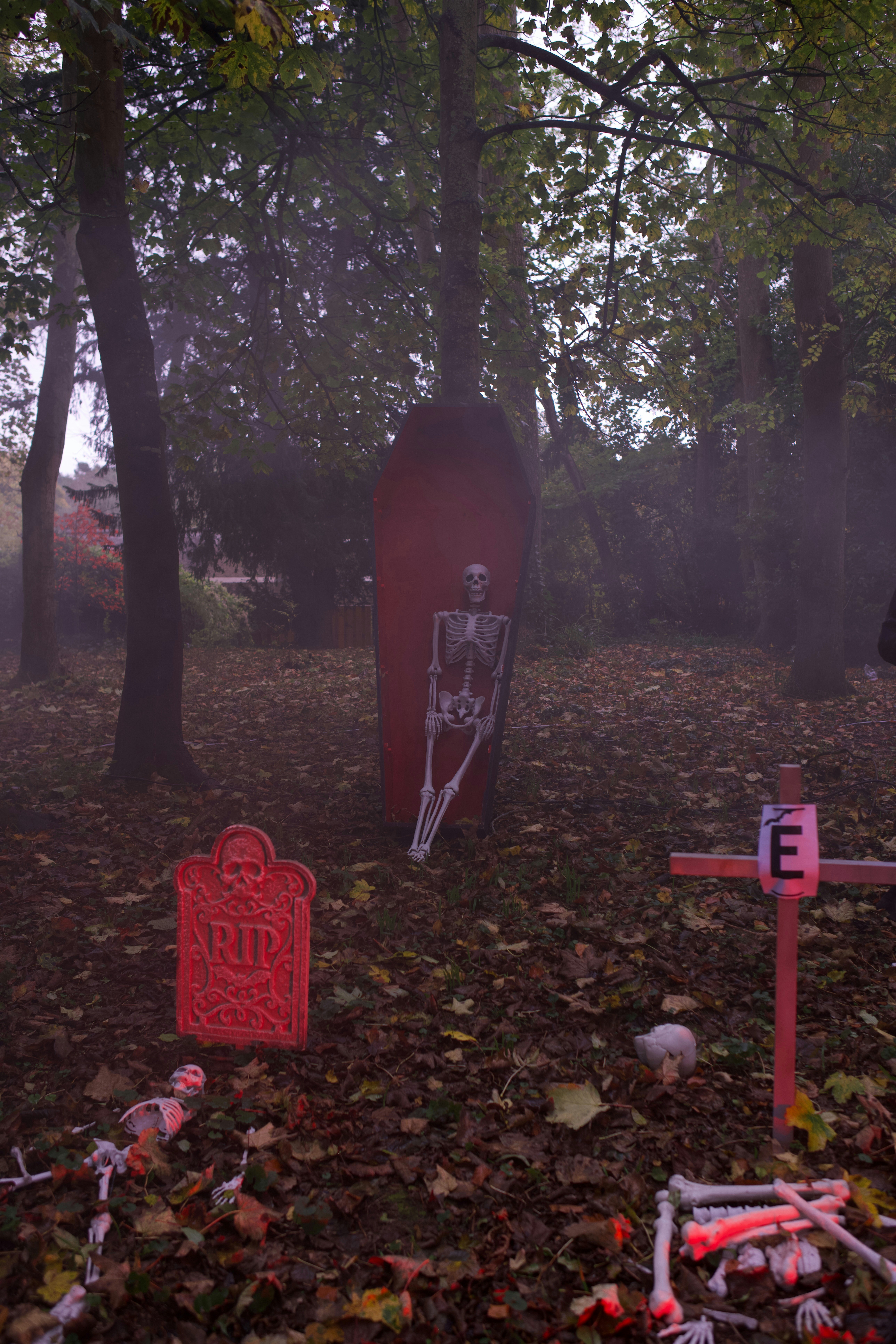 Fogbound Coffin: A Skeleton Keeps Watch in the Autumn Park