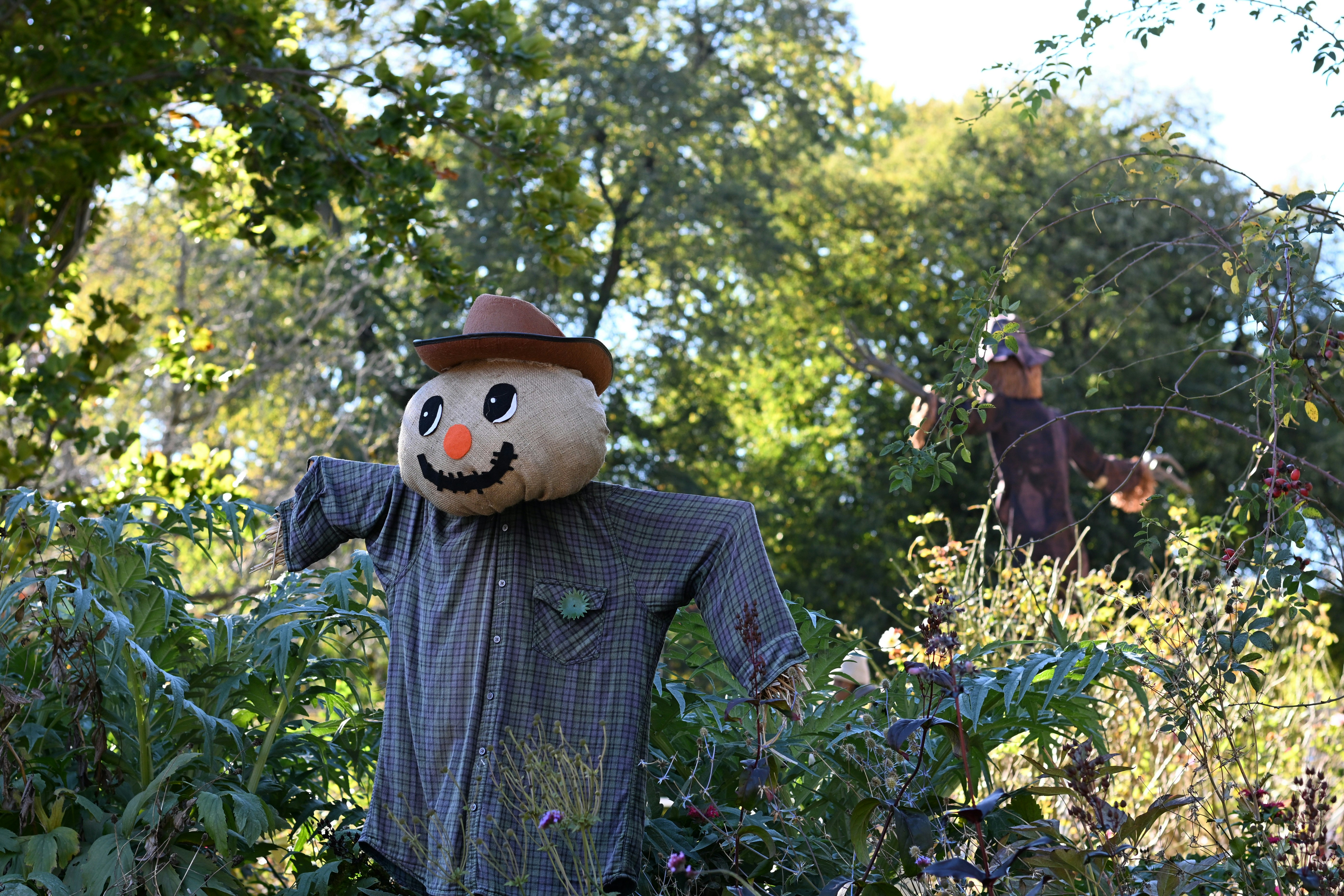 Whimsical Guardian of the Garden