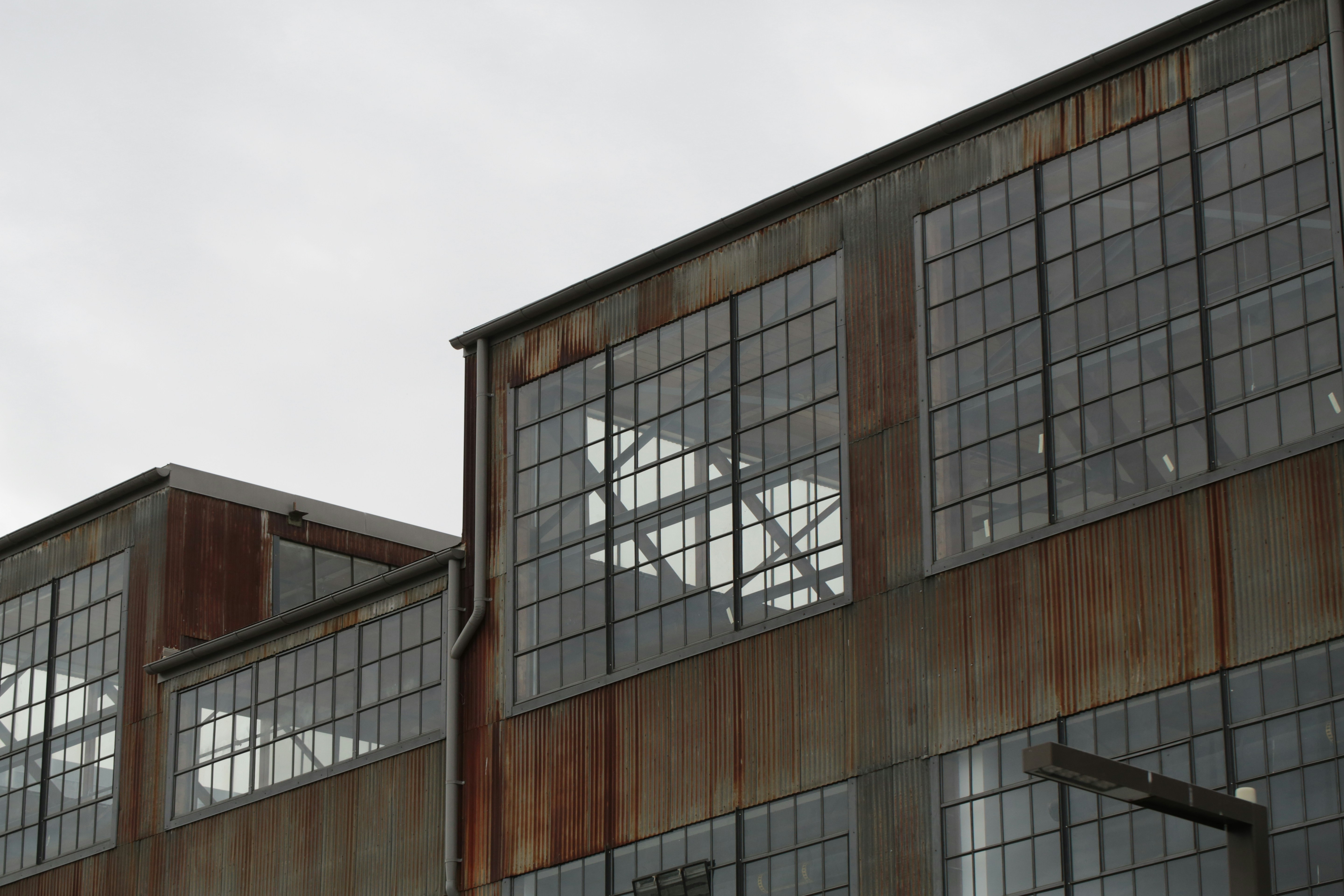 Photo by Sean Thoman with Canon EOS 5D Mark III