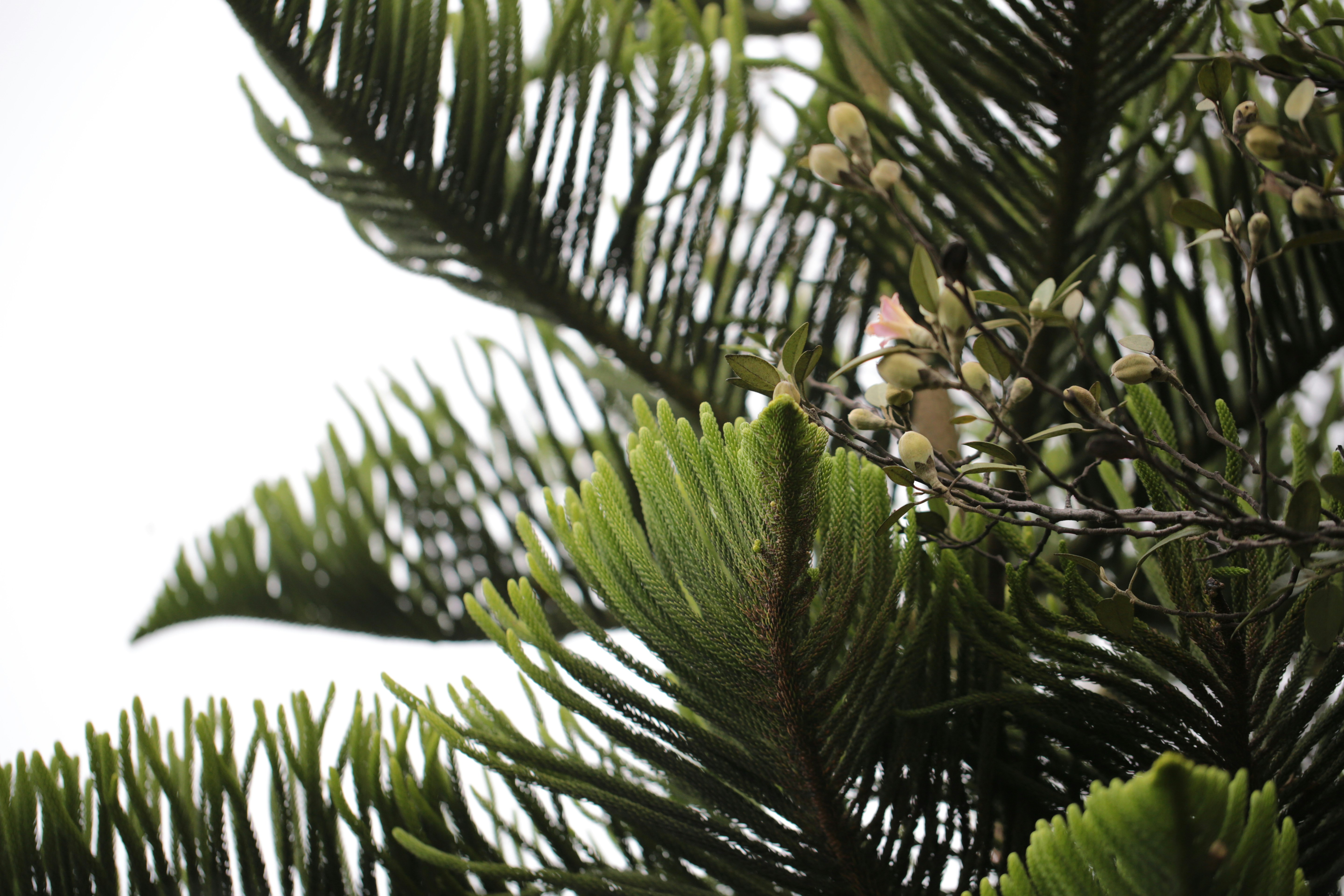 Photo by Sean Thoman with Canon EOS 5D Mark III