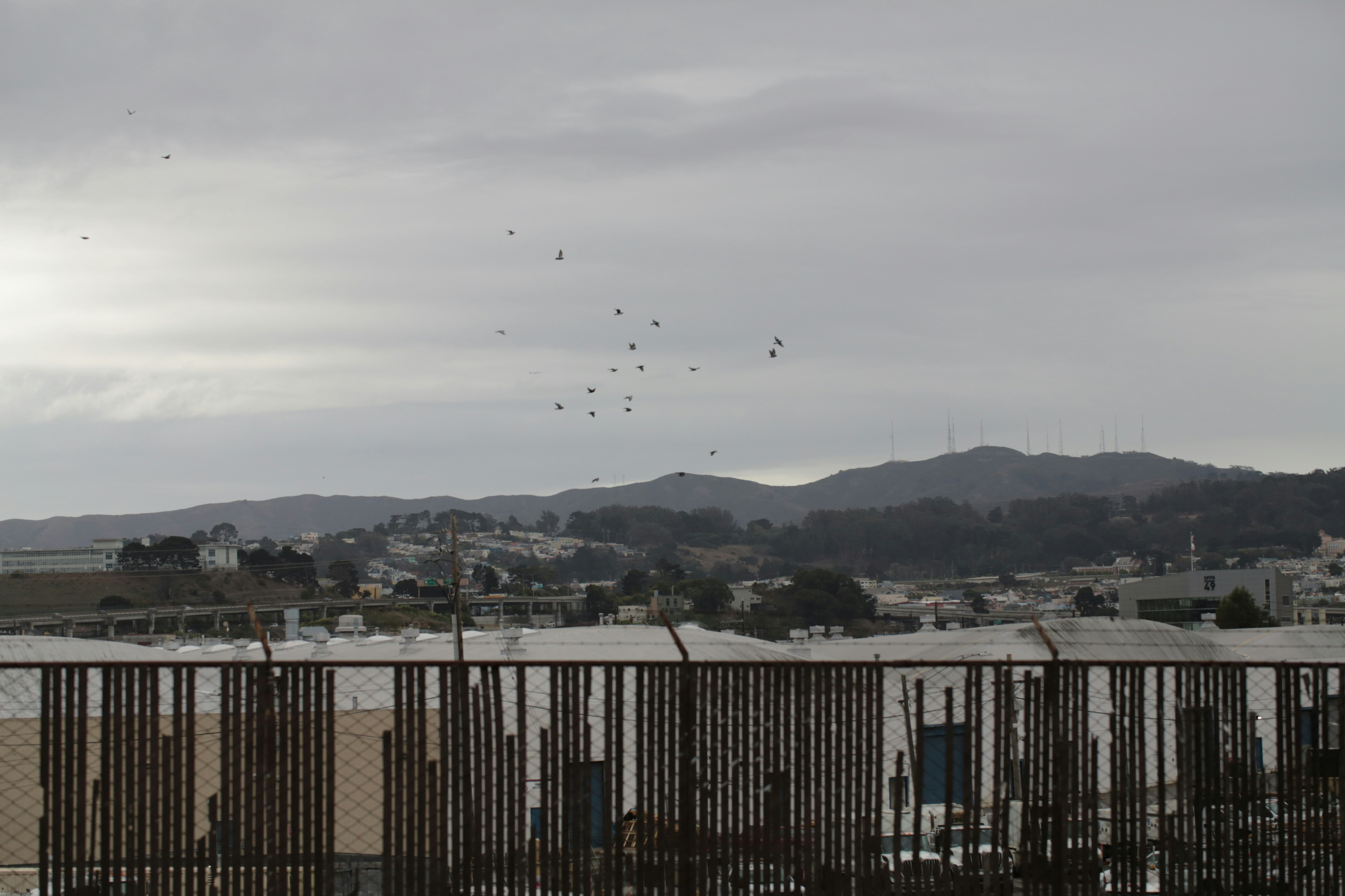 Whispers of the Urban Horizon