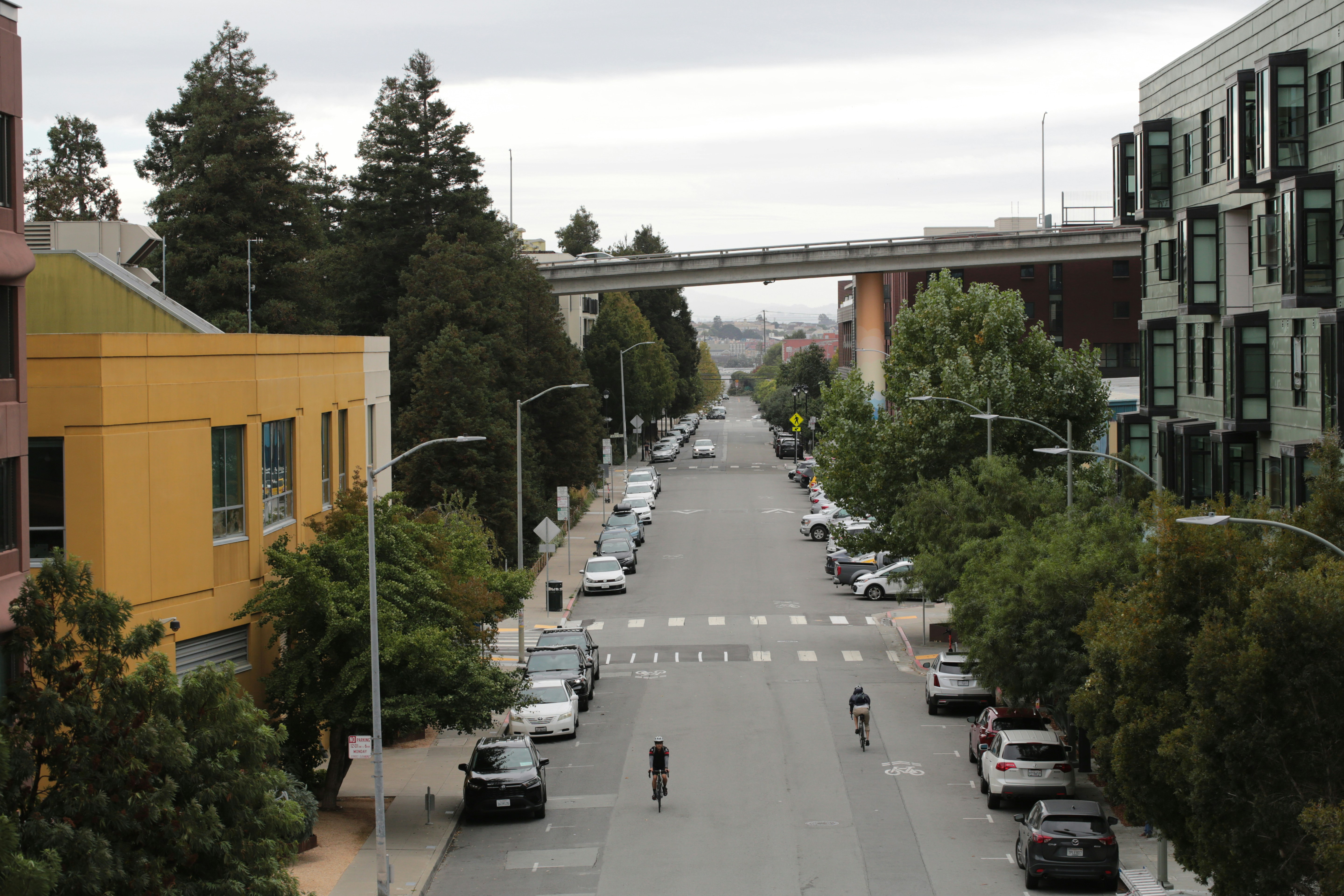 A wide street lined with trees and parked cars, featuring cyclists riding along the road under a cloudy sky.