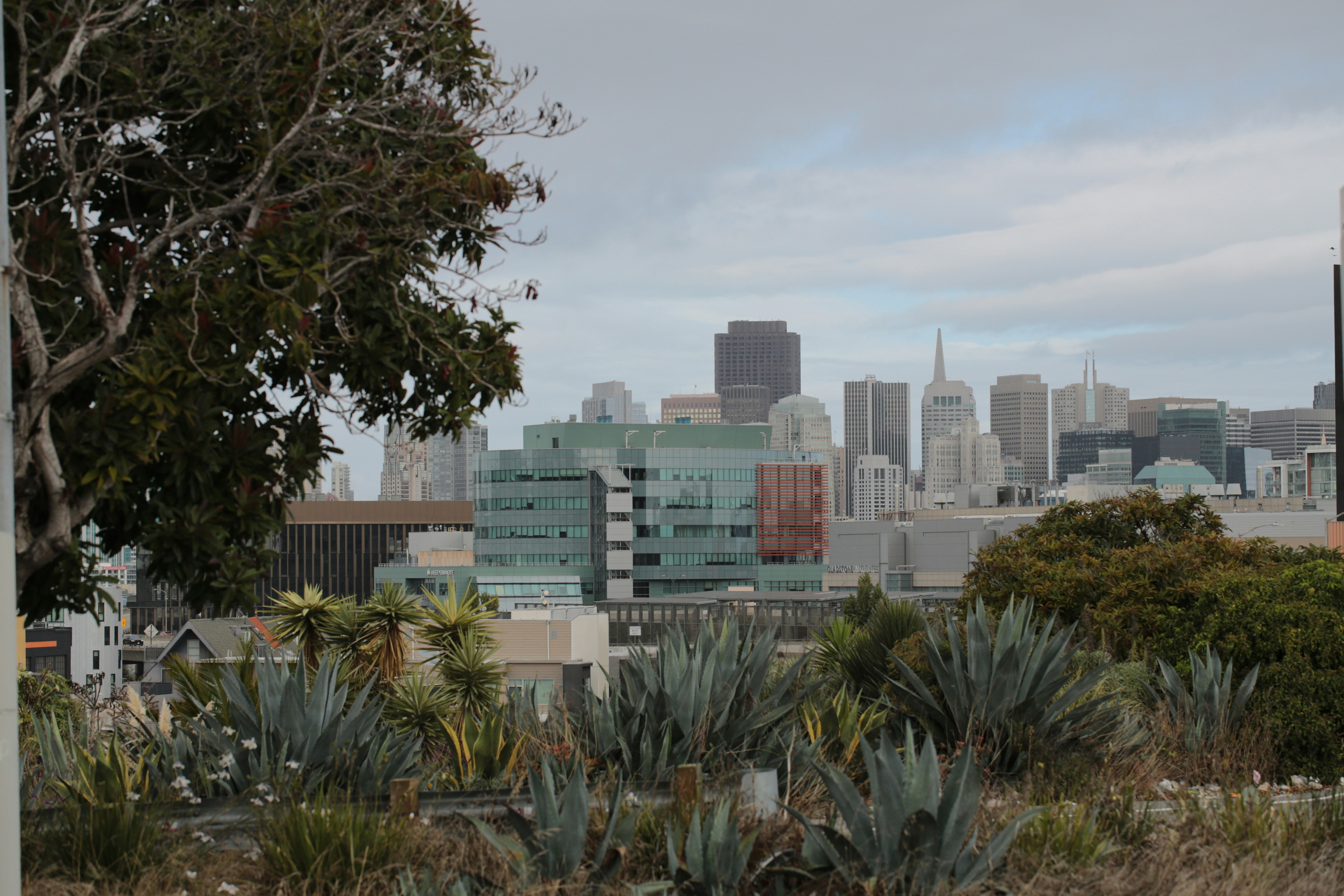 Lush greenery in the foreground contrasts with the urban skyline of a bustling city in the background. The scene showcases a blend of natural and architectural elements.
