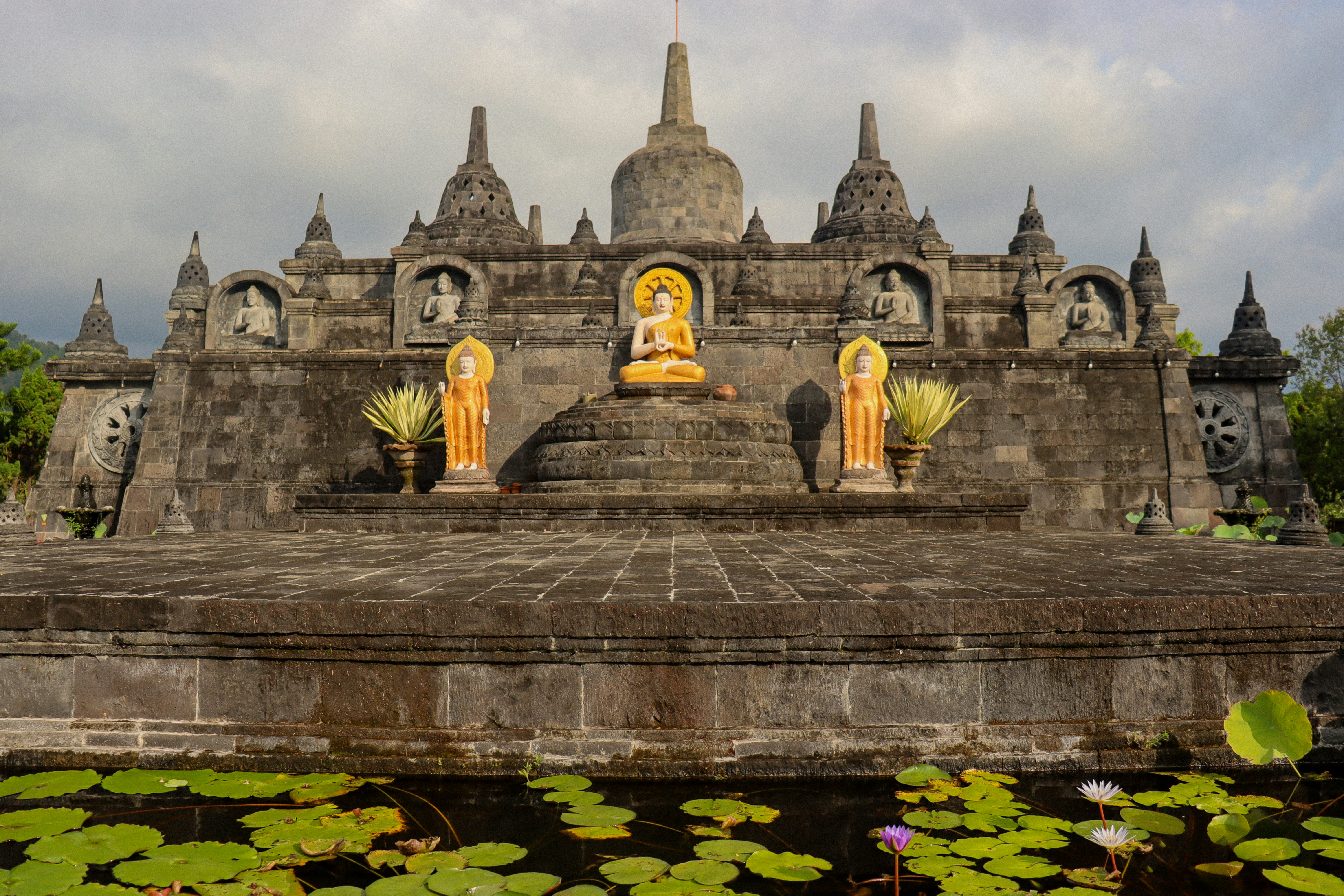 Photo by Nicole Arango Lang with Canon EOS 250D