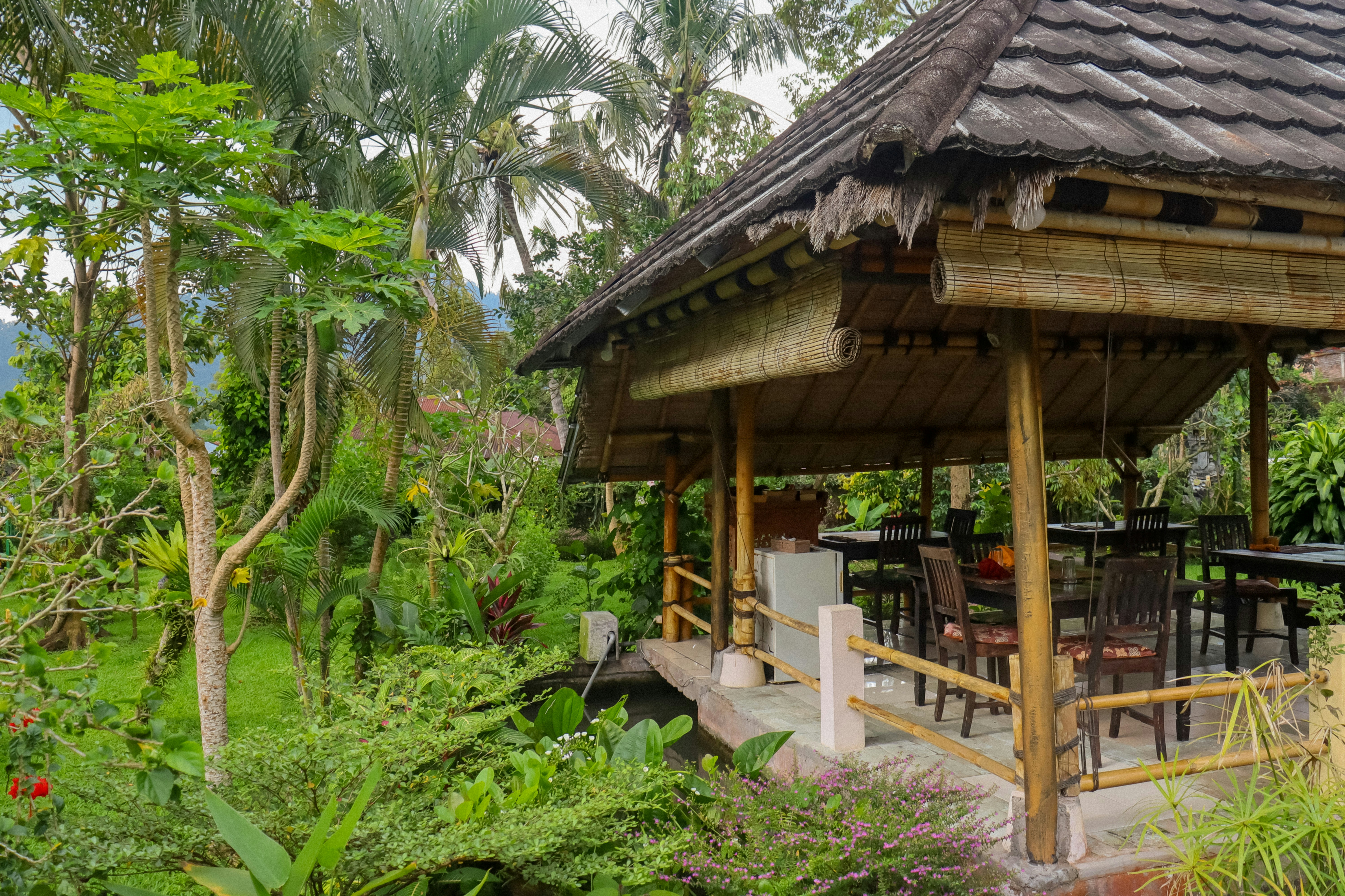 Traditional bamboo pavilion surrounded by vibrant tropical plants and trees, offering a peaceful escape in nature.