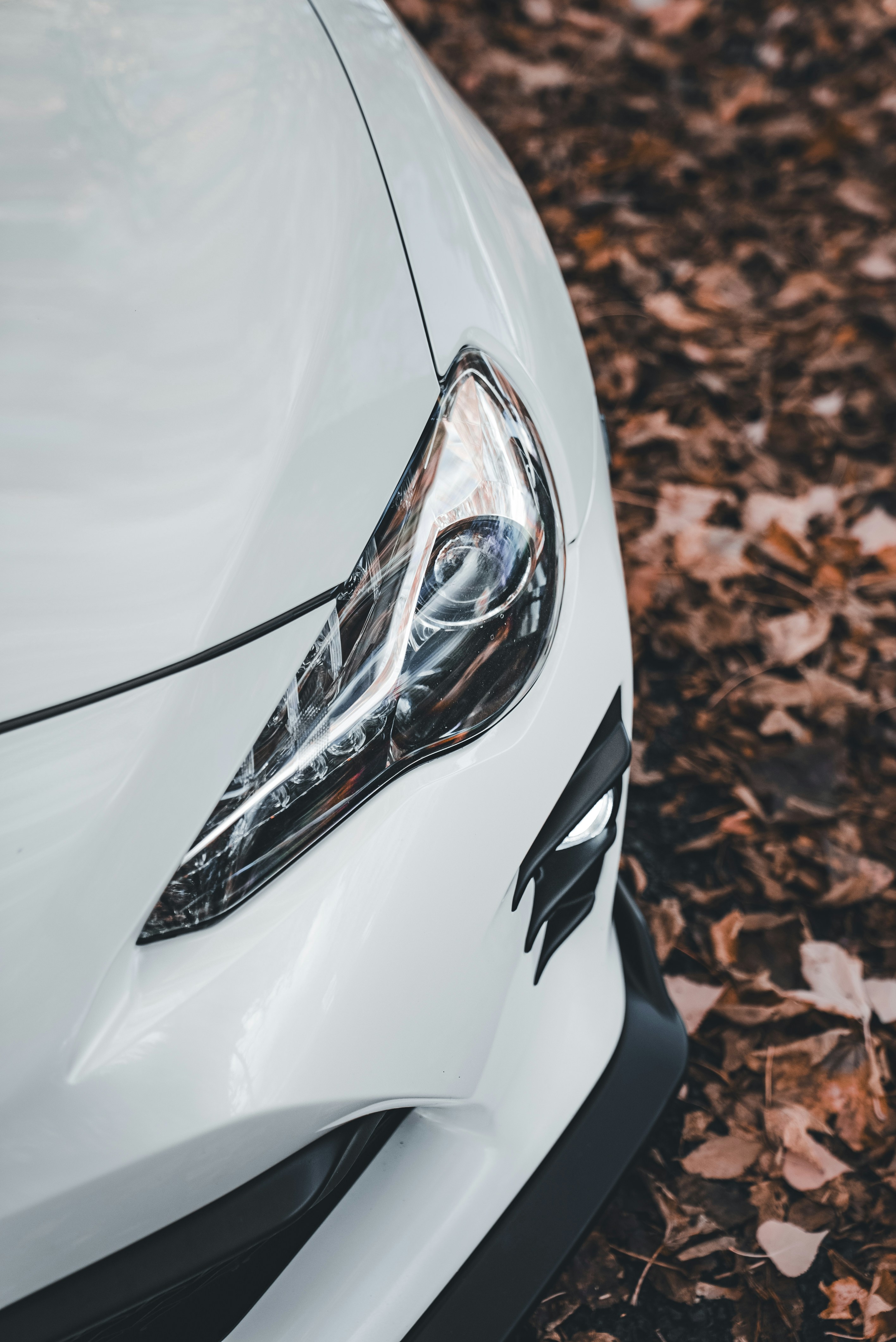 Elegance in Motion: A Close-Up of Automotive Design