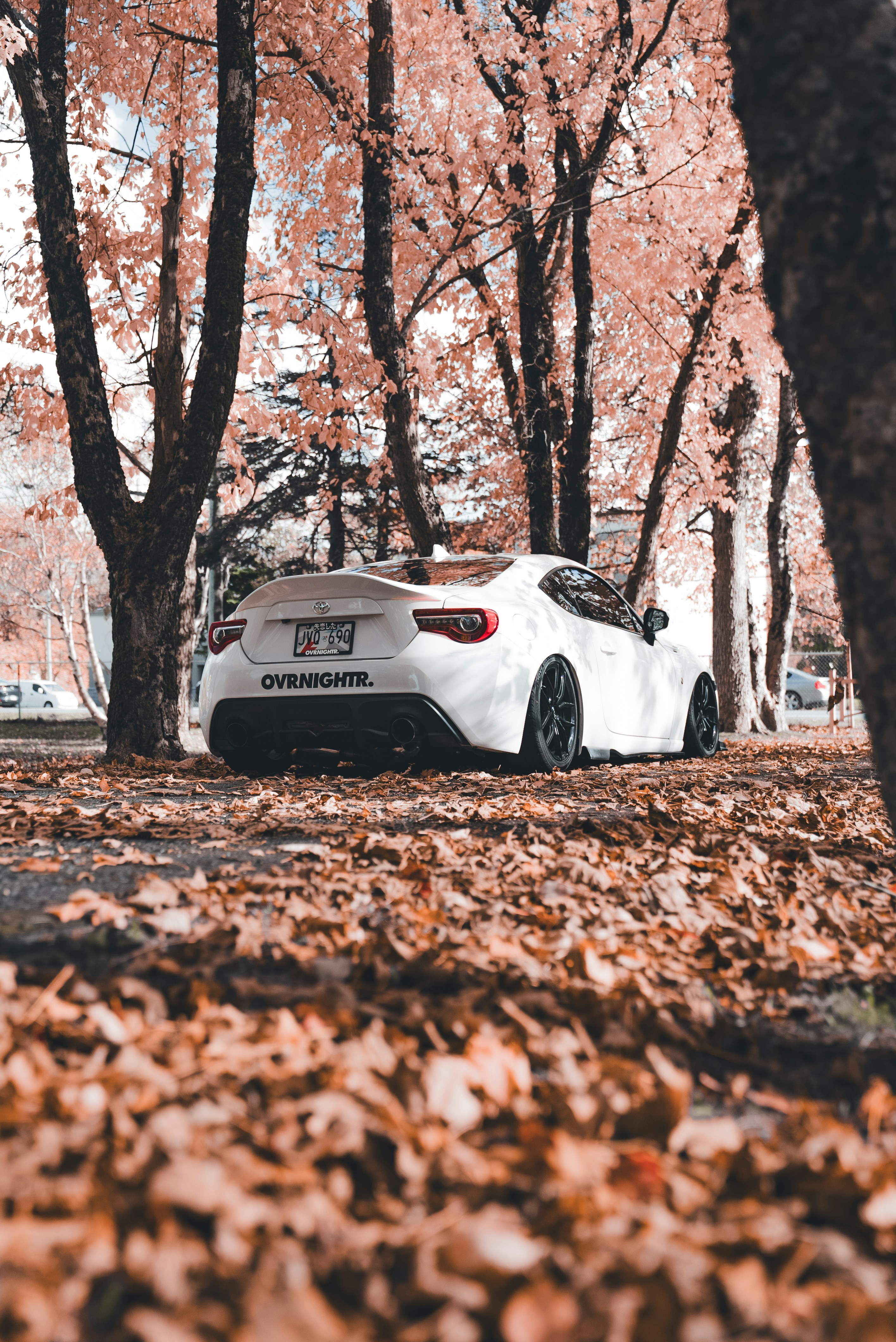 Autumn's Whisper: A Car Amongst Fallen Leaves