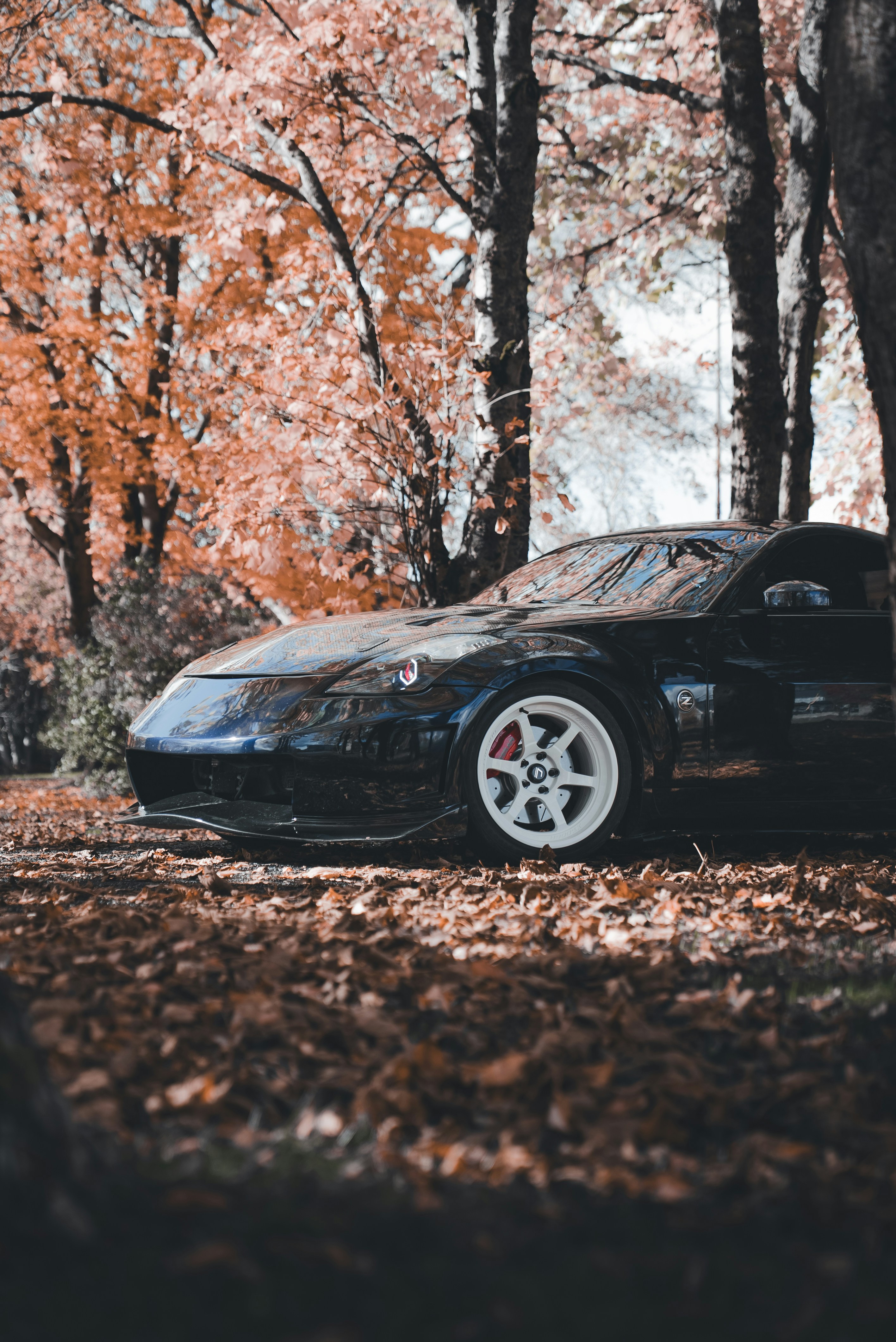 Photo by Erik Mclean with Sony Alpha 7S III