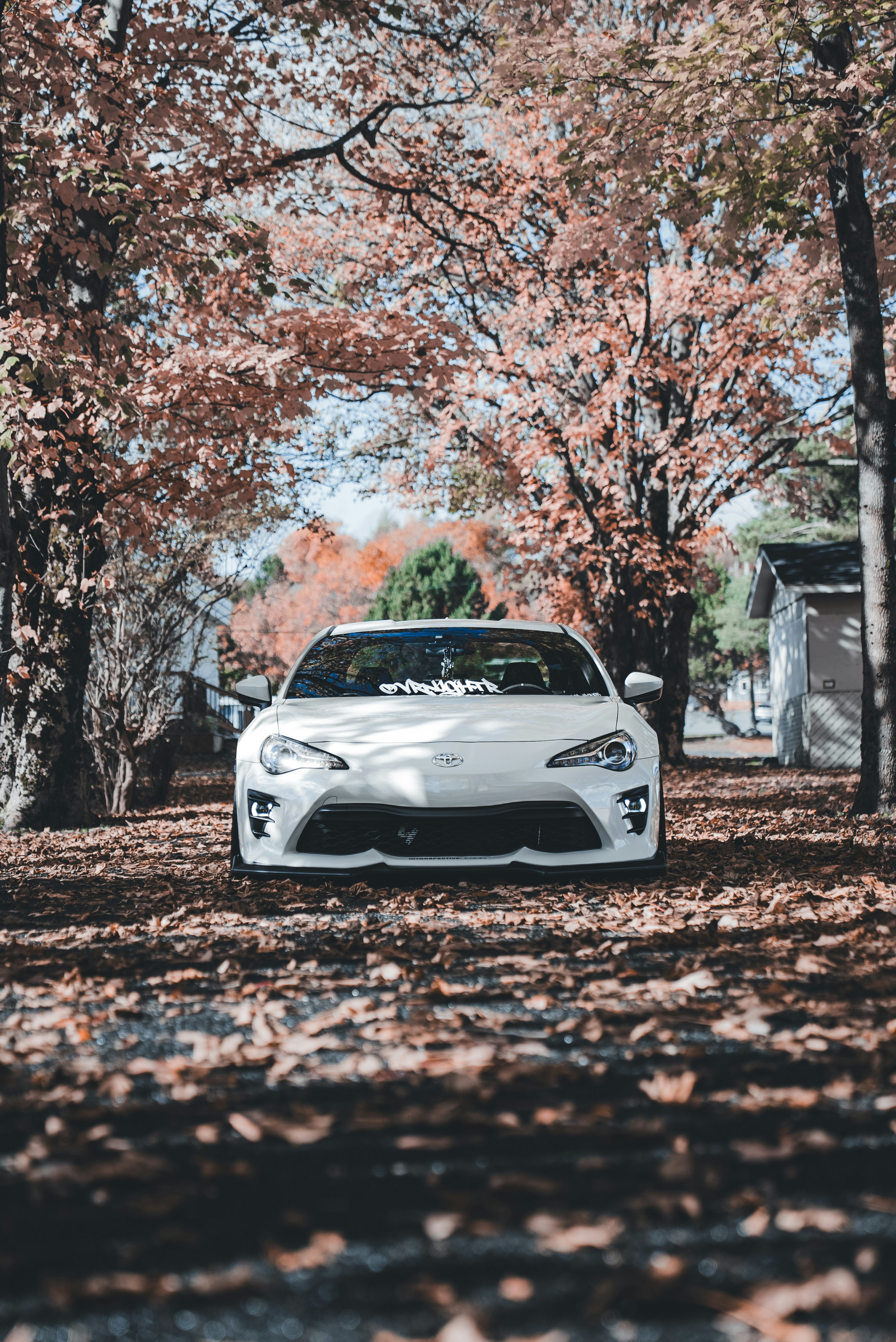 Autumn's Embrace: A White Sports Car Amongst Golden Leaves
