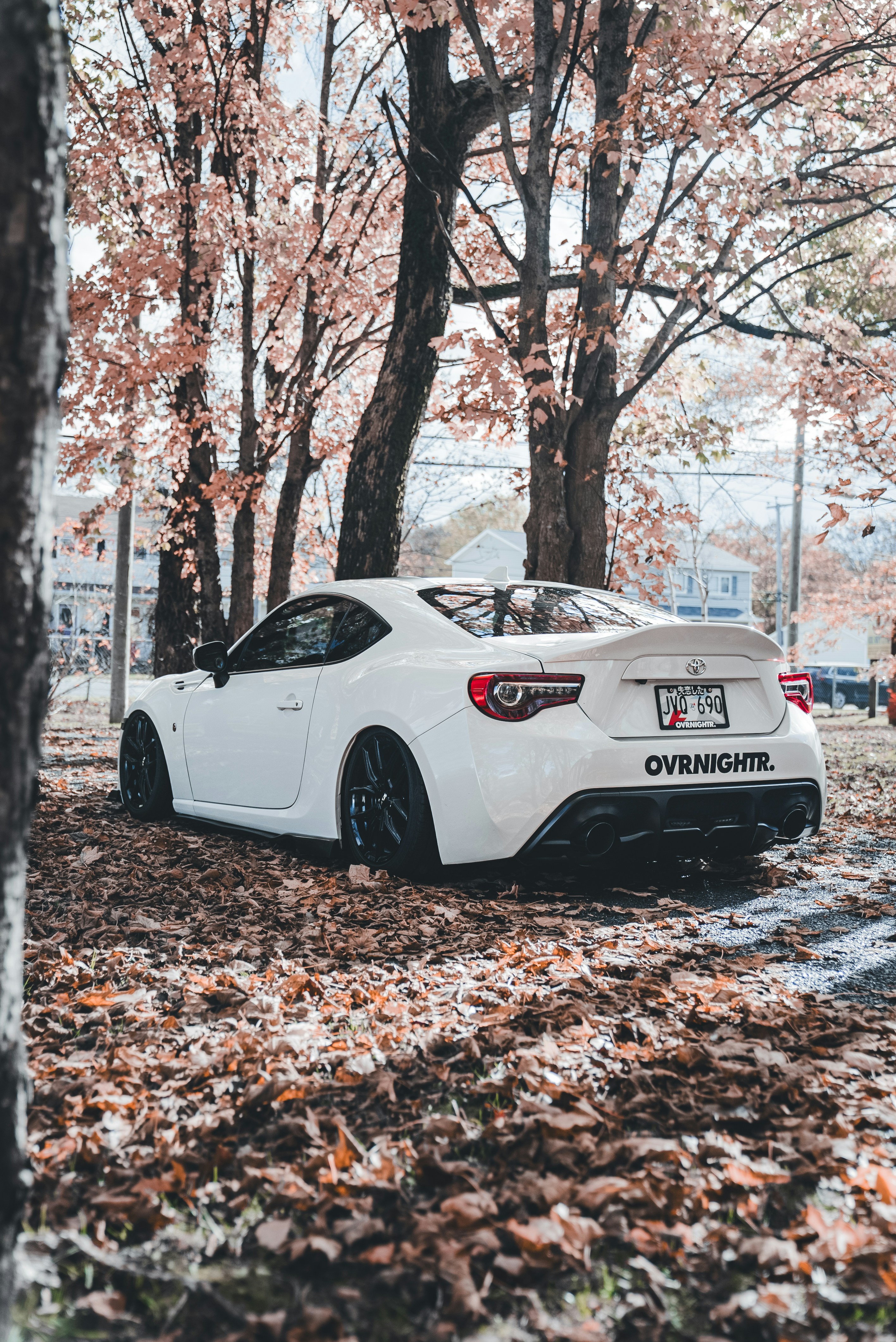 Autumn Alchemy: White Sports Coupe Resting Under a Canopy of Leaves