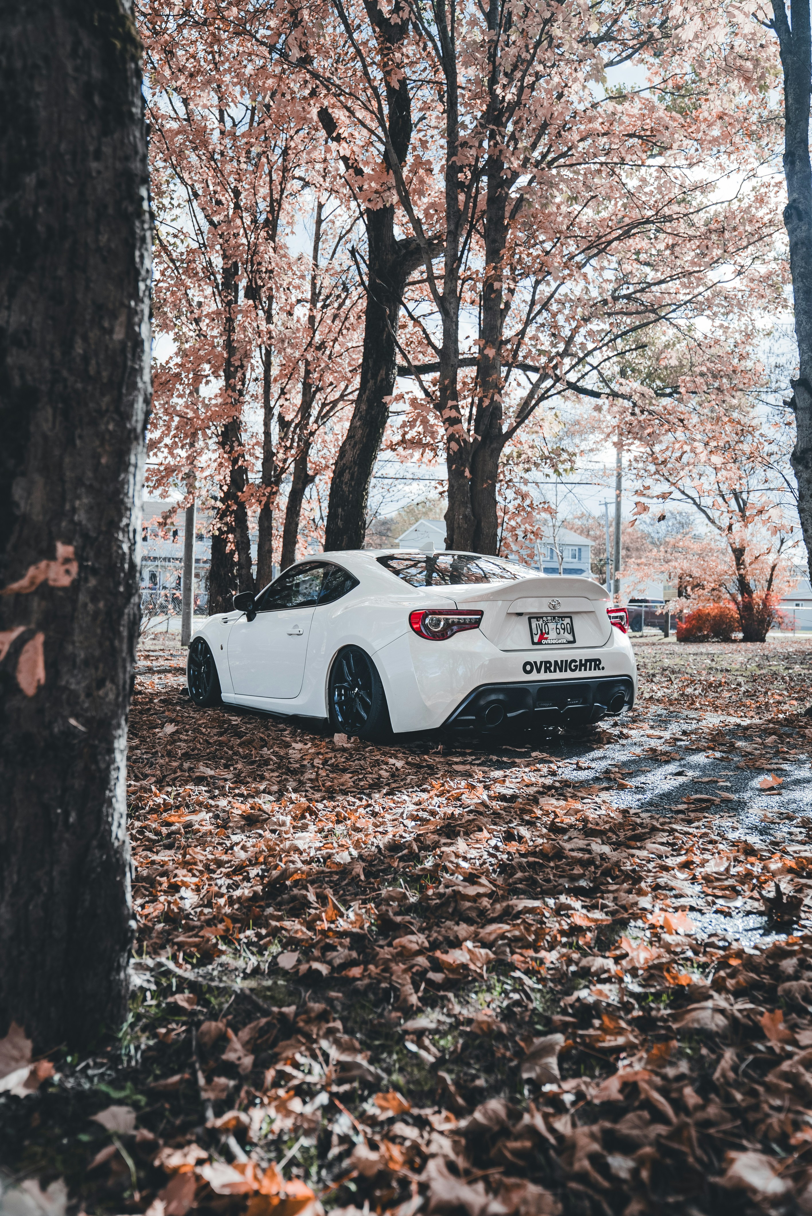 Autumn Chrome: White sports car anchored under copper leaves