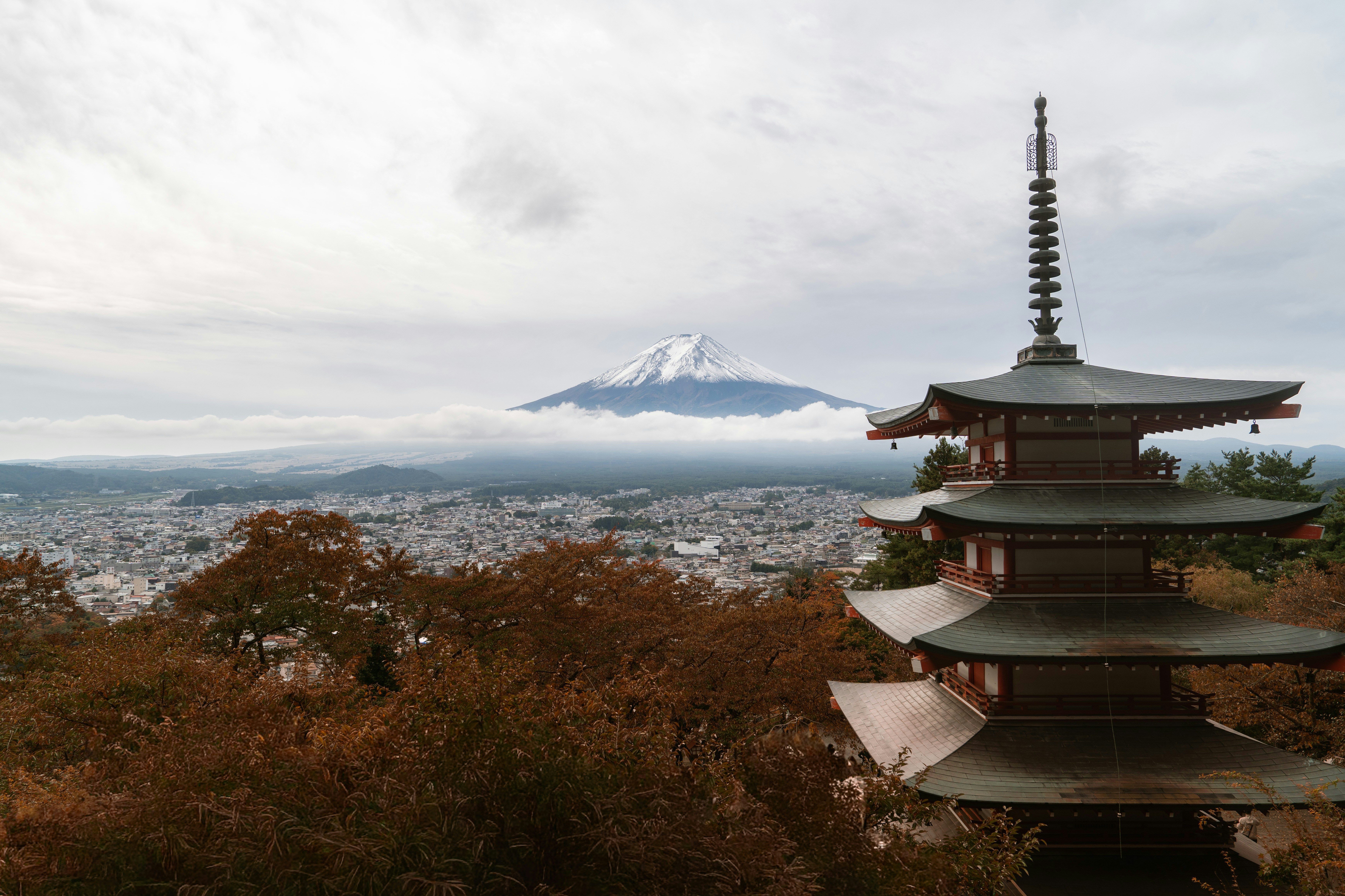 Harmony of Tradition and Nature
