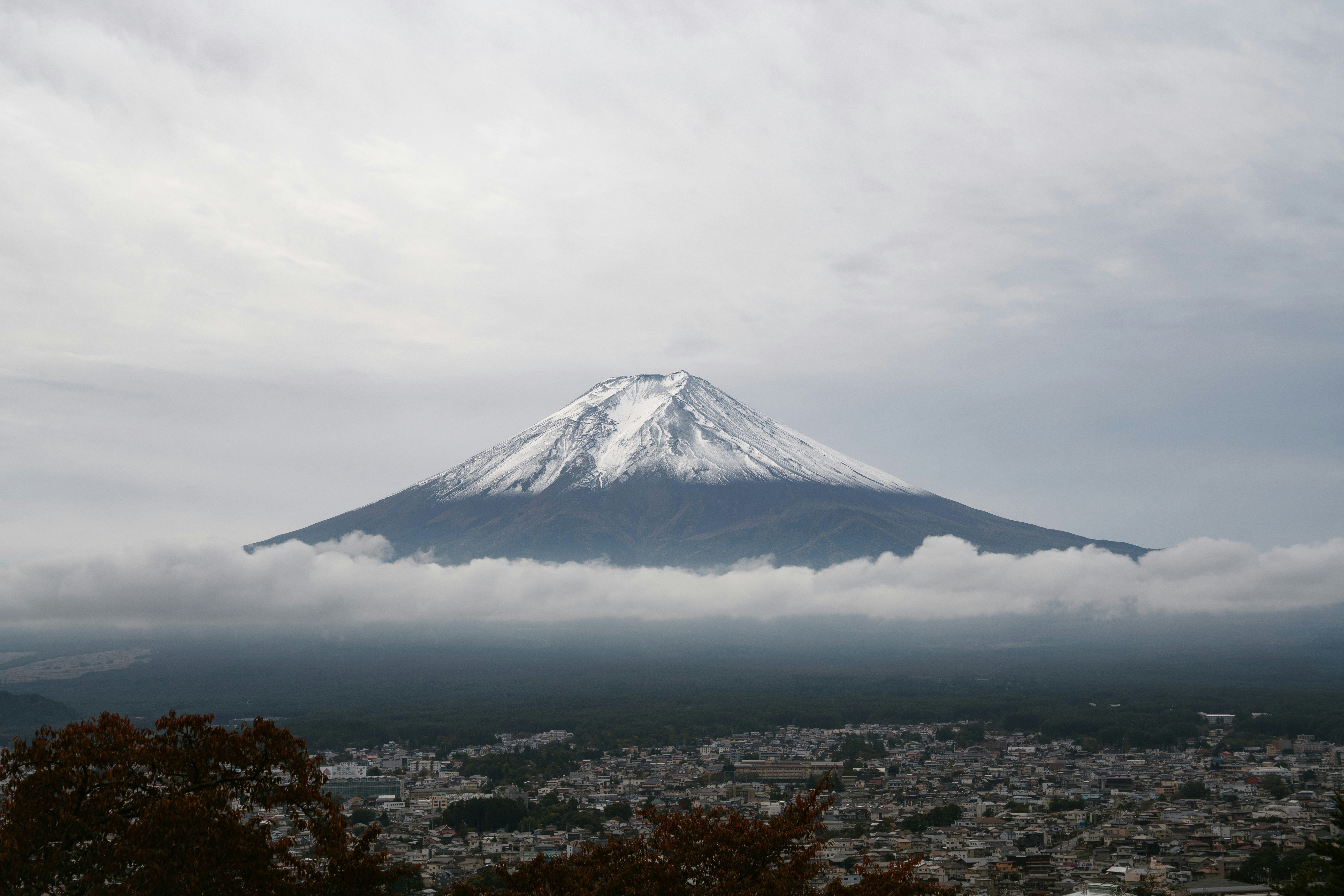Majestic Summit: The Silent Guardian
