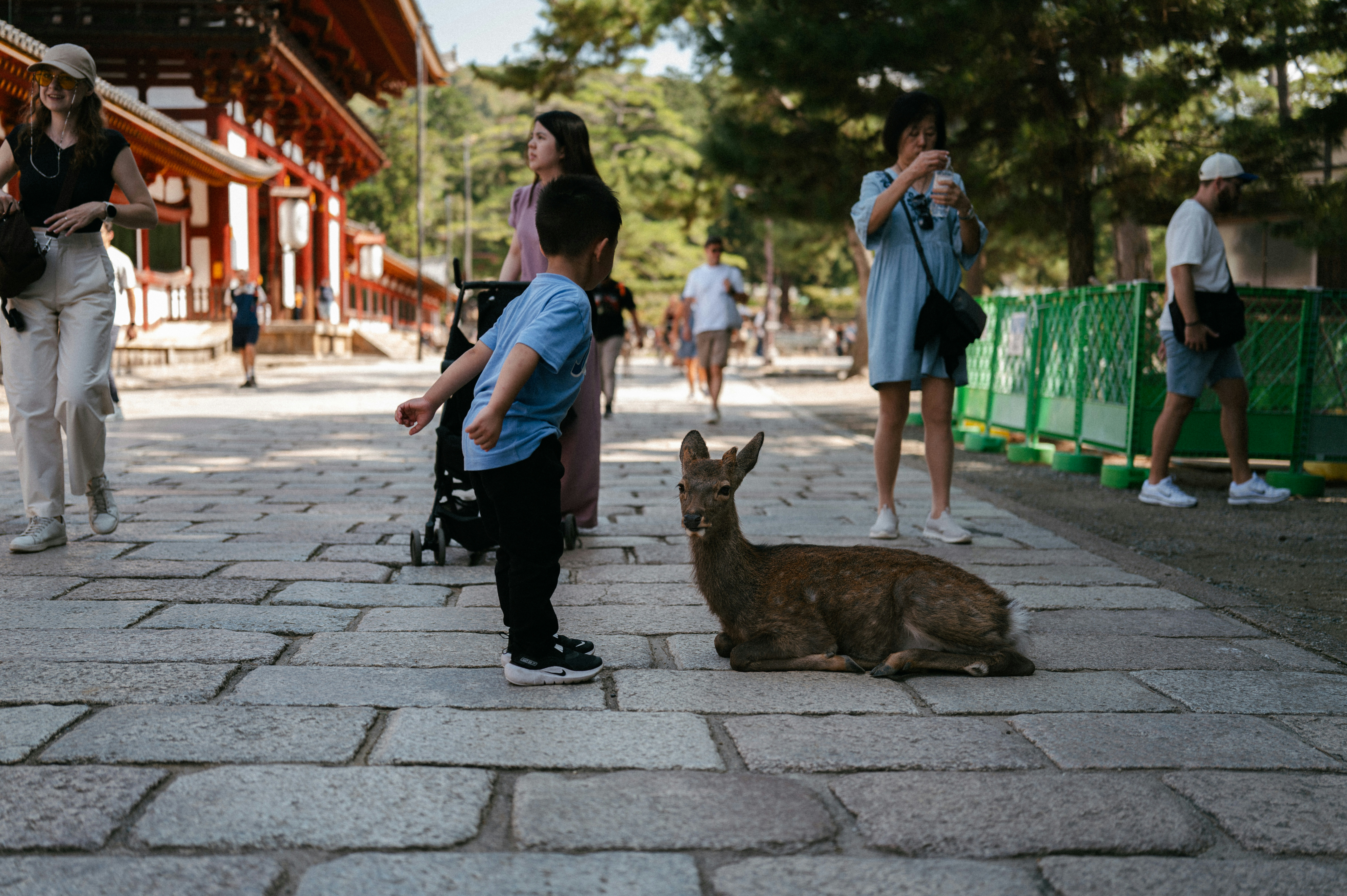 A Serene Encounter: Child Meets Nature's Gentle Spirit