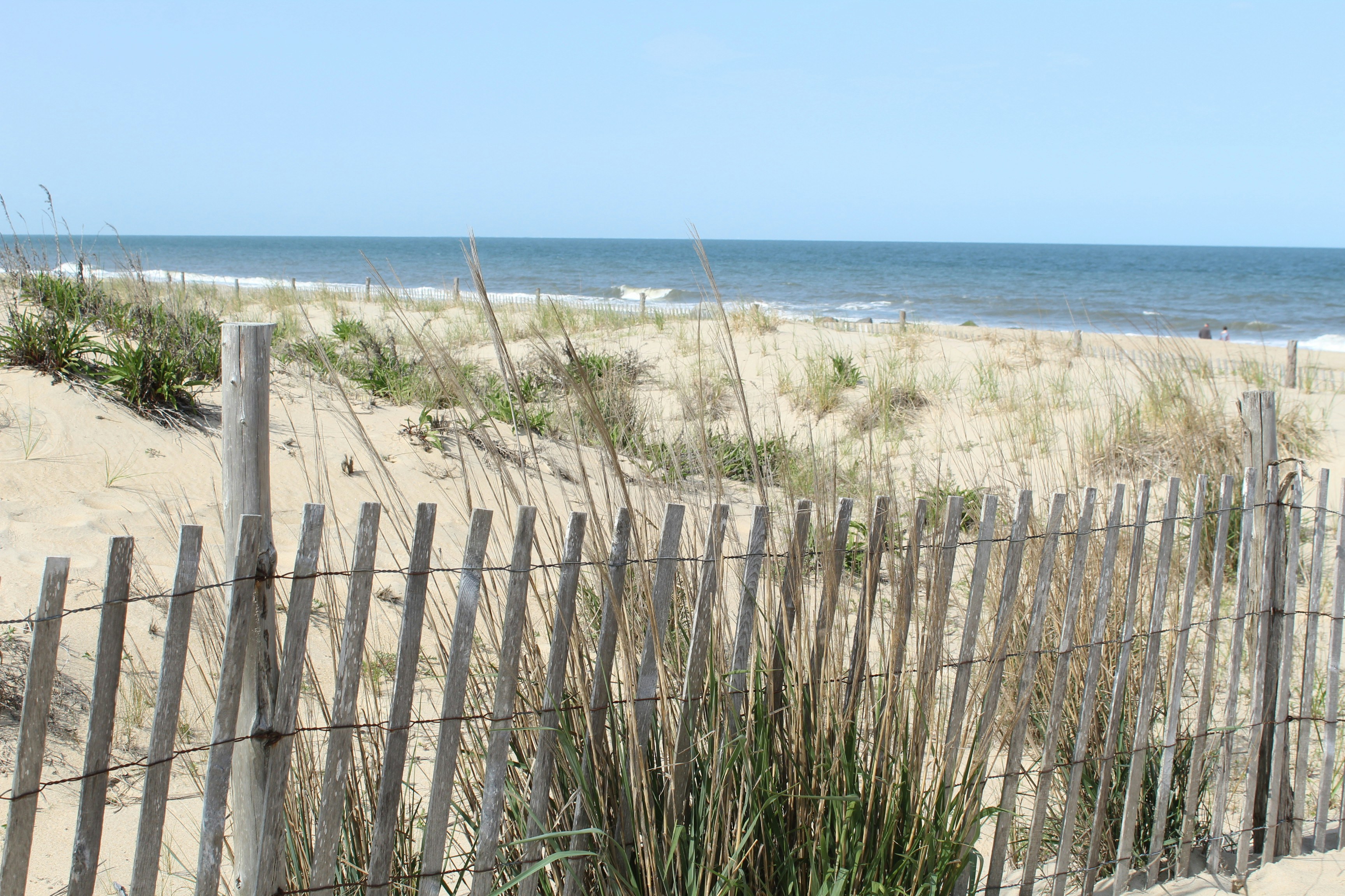 Wooden fence with beach grass and ocean in background