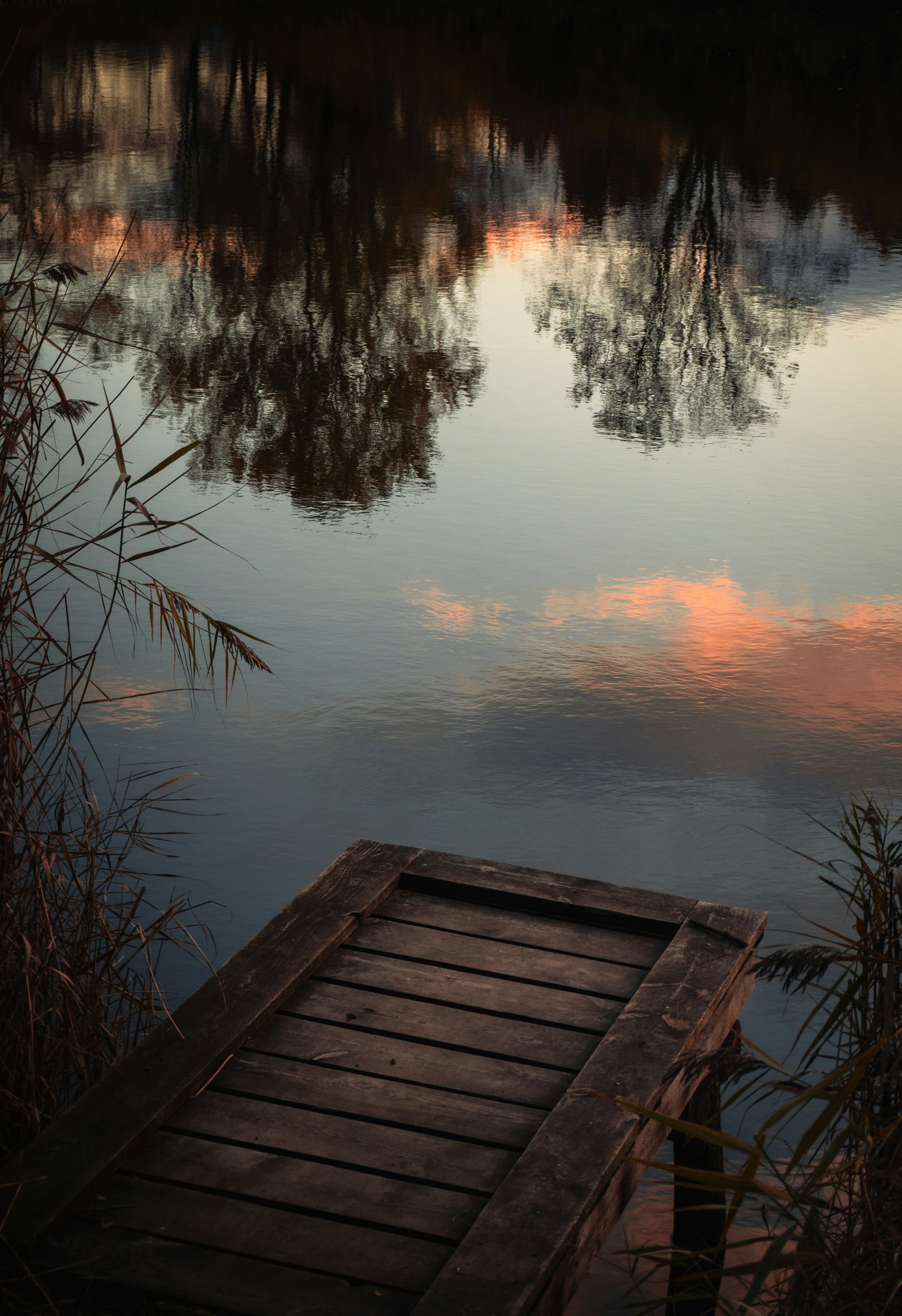 Wooden dock on a calm lake at sunset