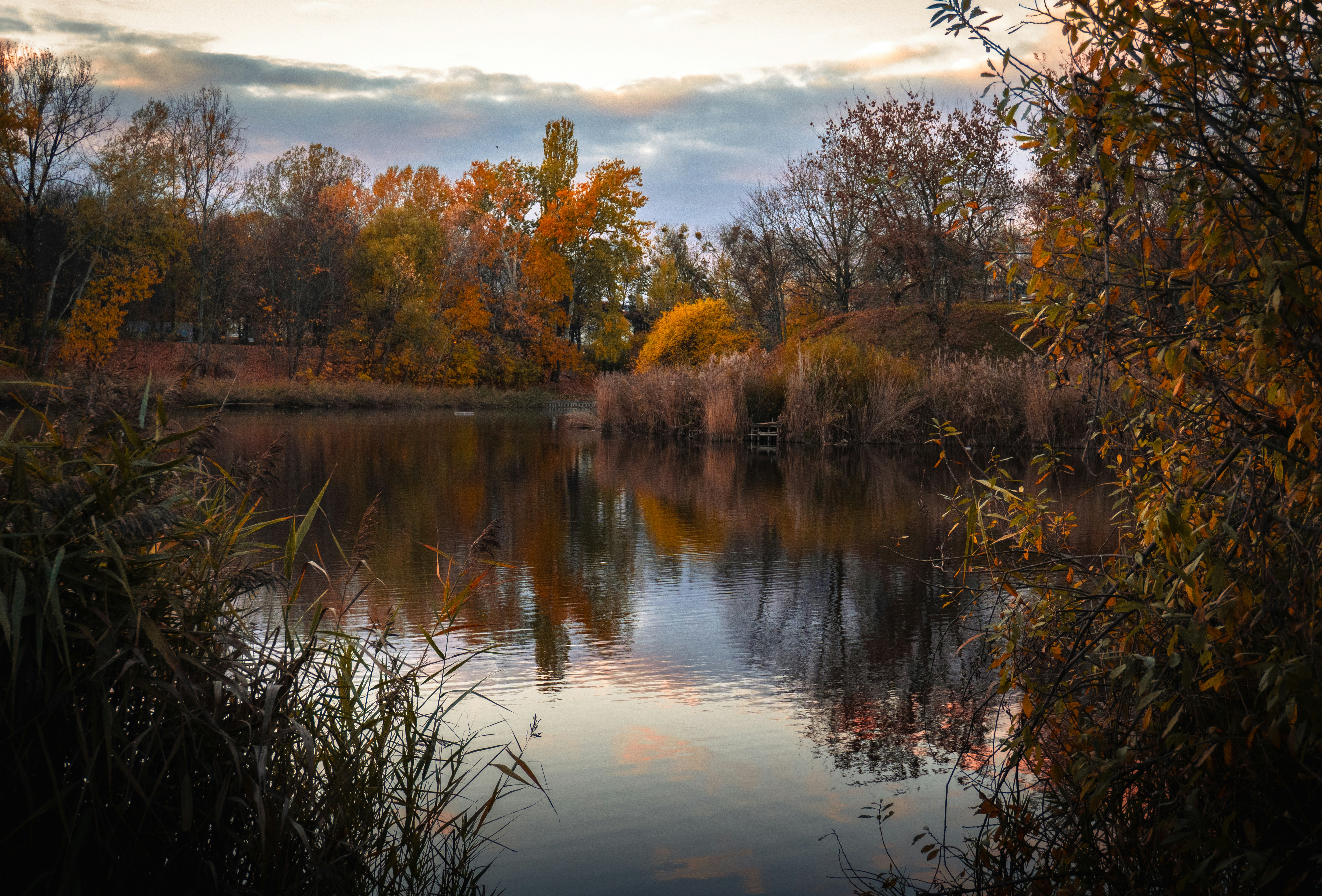 Serene pond surrounded by vibrant autumn foliage, with reflections creating a mirror-like effect on the water's surface.