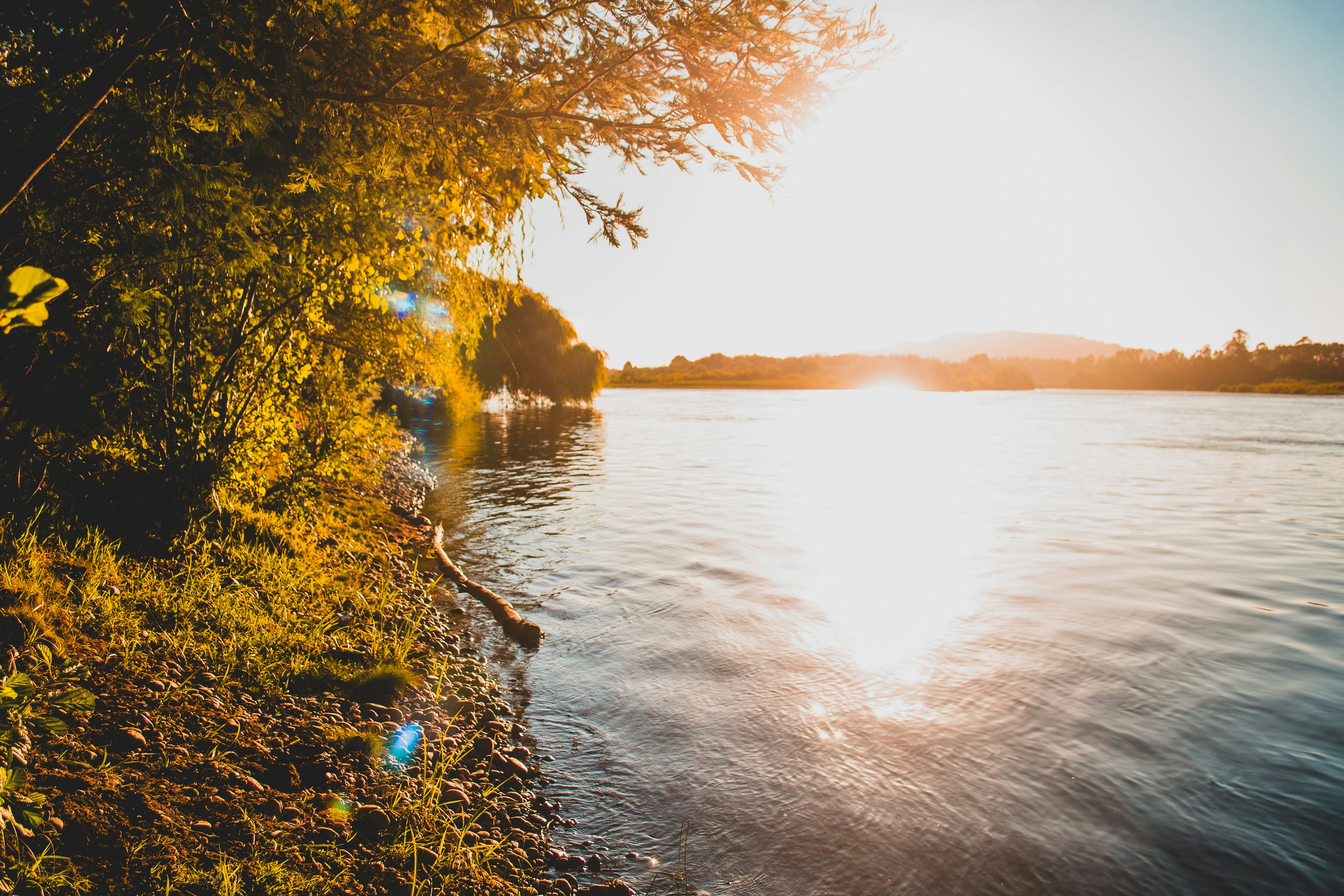 Golden sun reflects on a calm river at sunset.