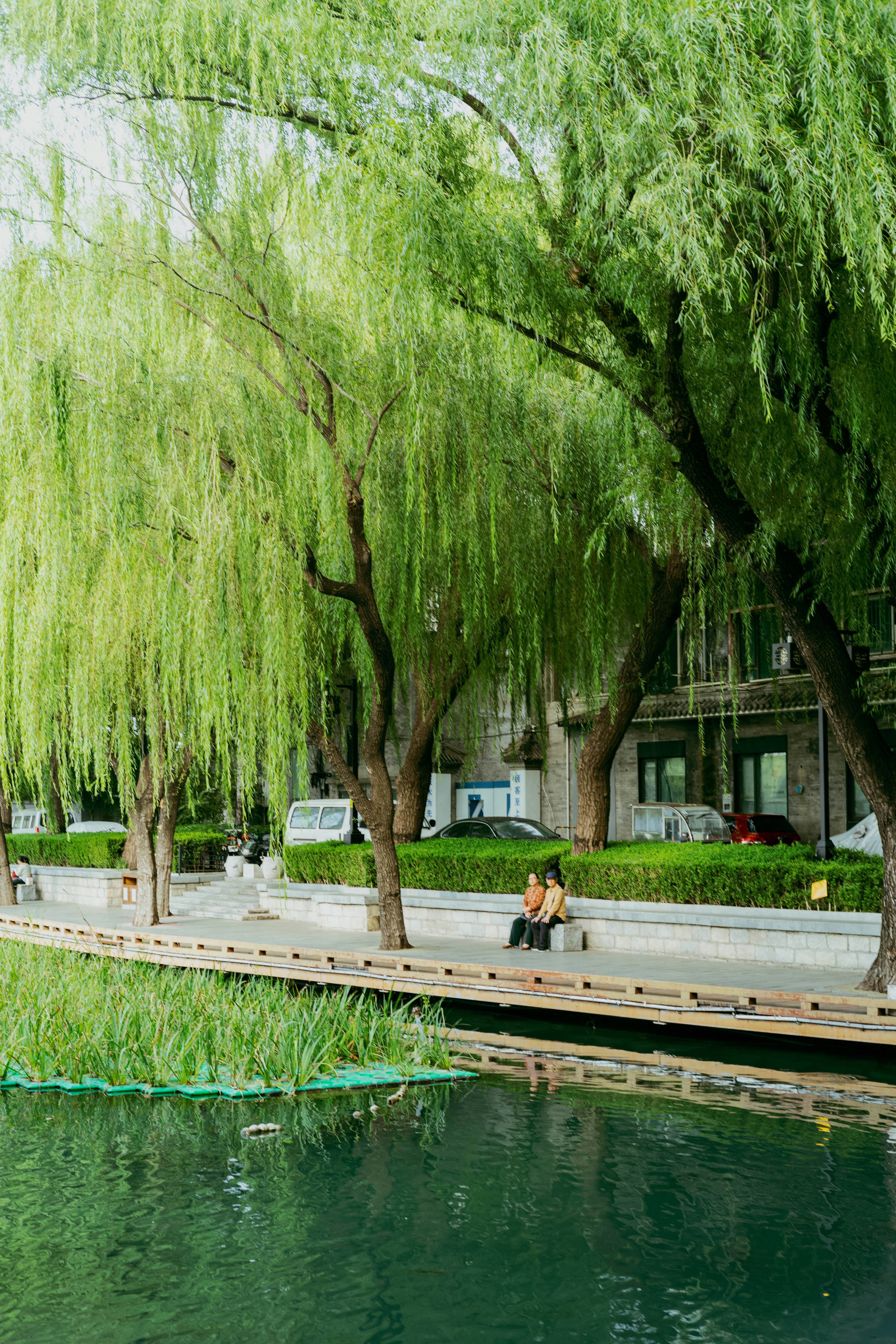 Whispers of Serenity by the Waterway