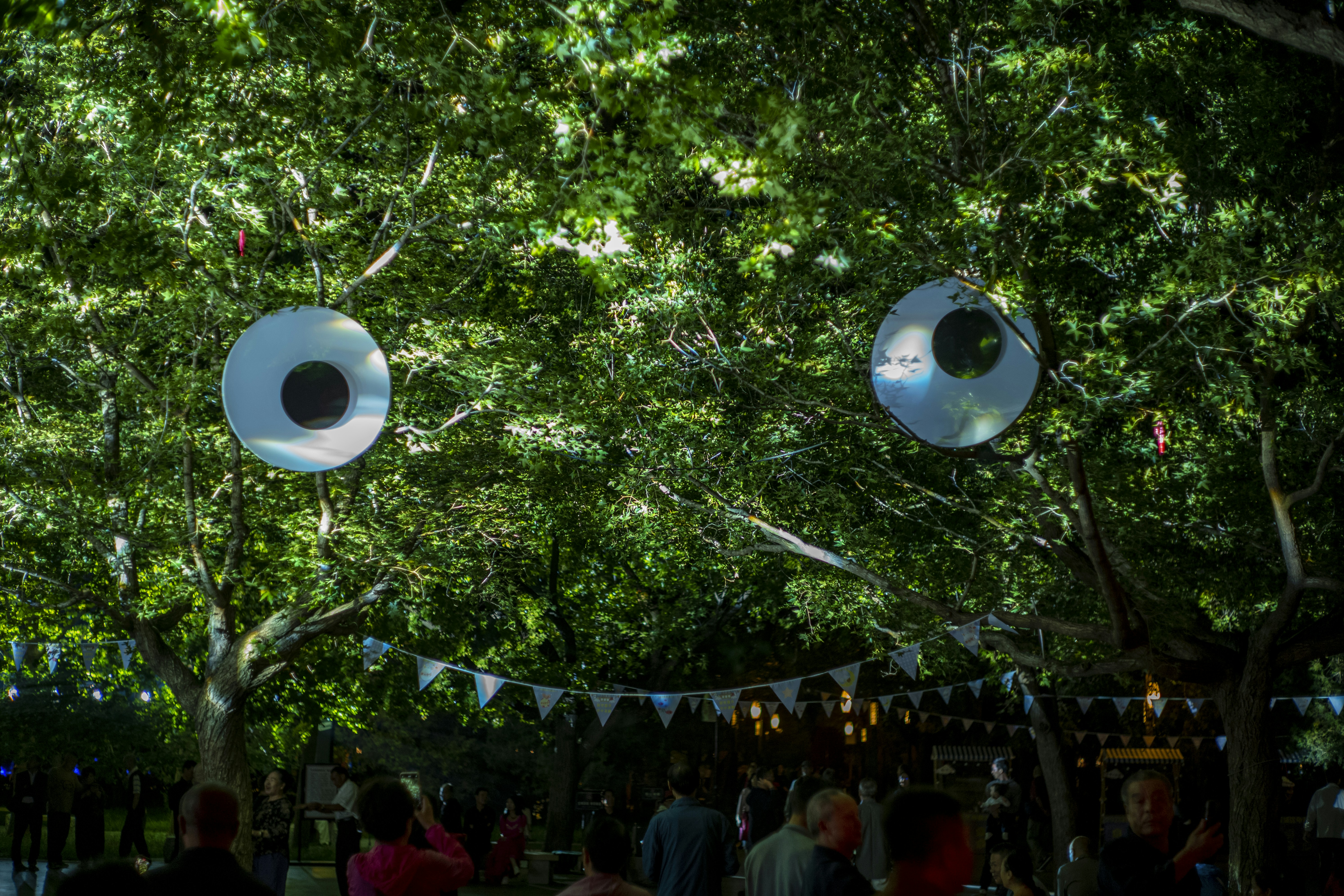 Whimsical Gaze Among the Trees