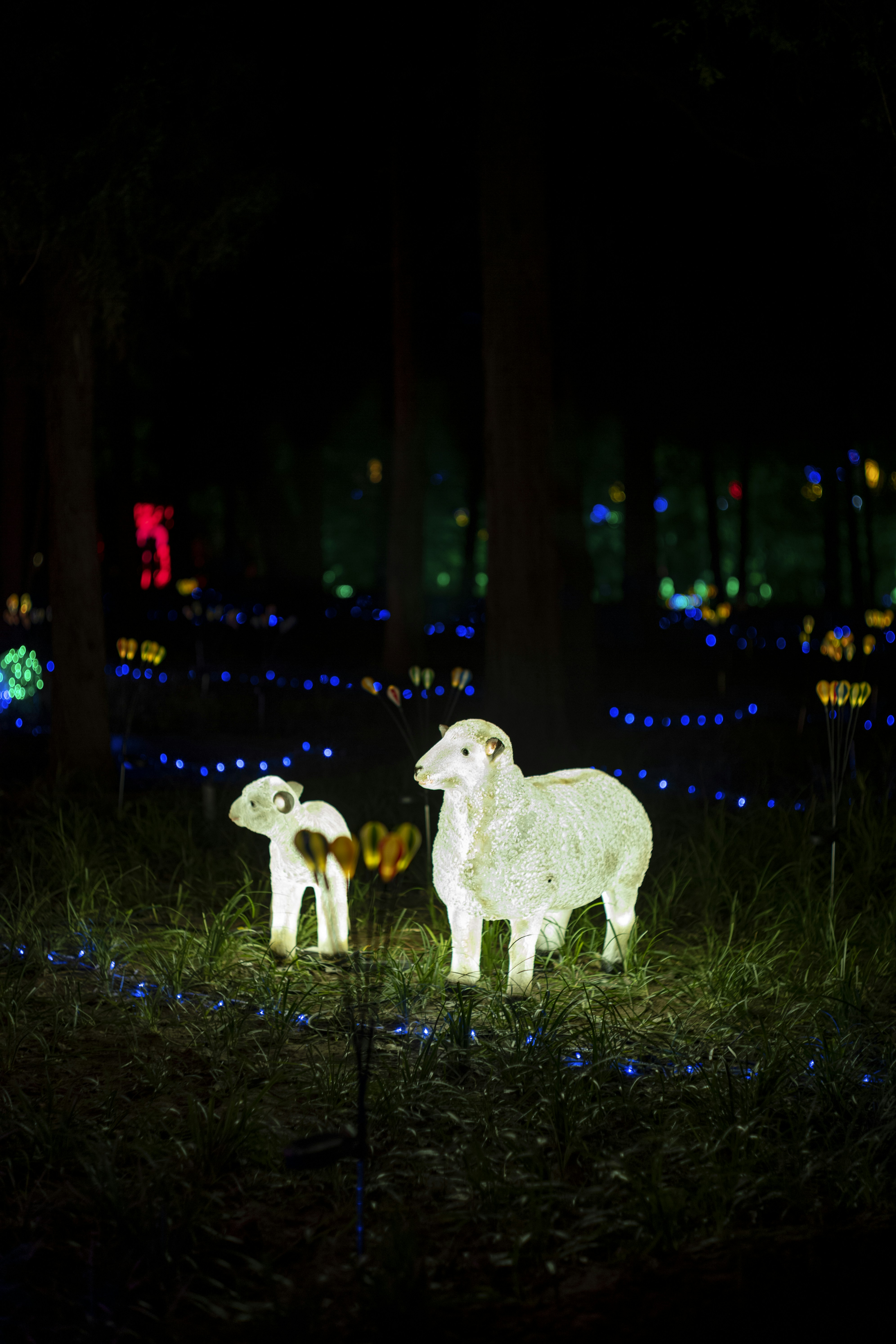 Illuminated Companions in a Twilight Meadow