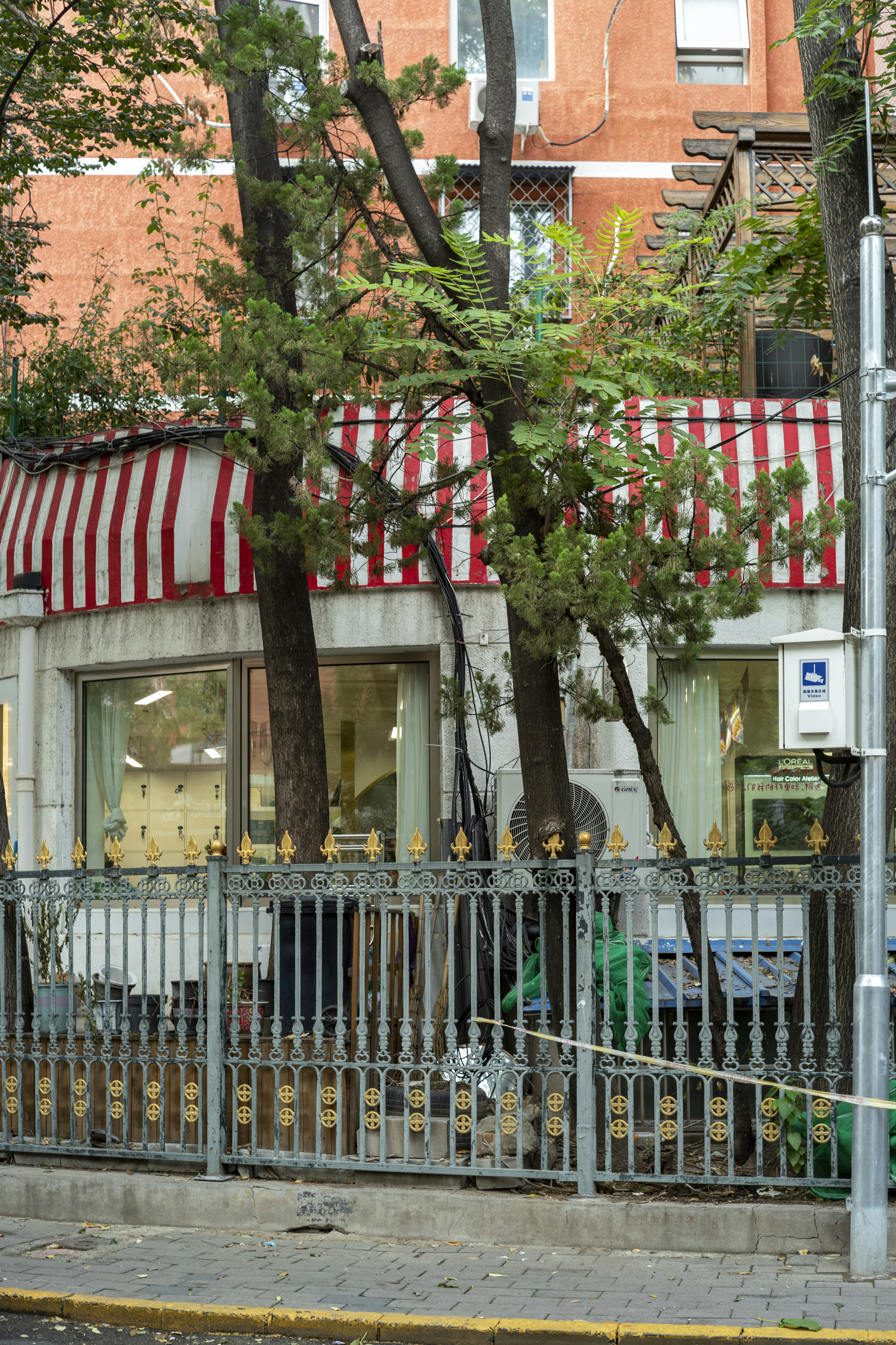 Urban Oasis: The Charm of Striped Canopies and Verdant Foliage