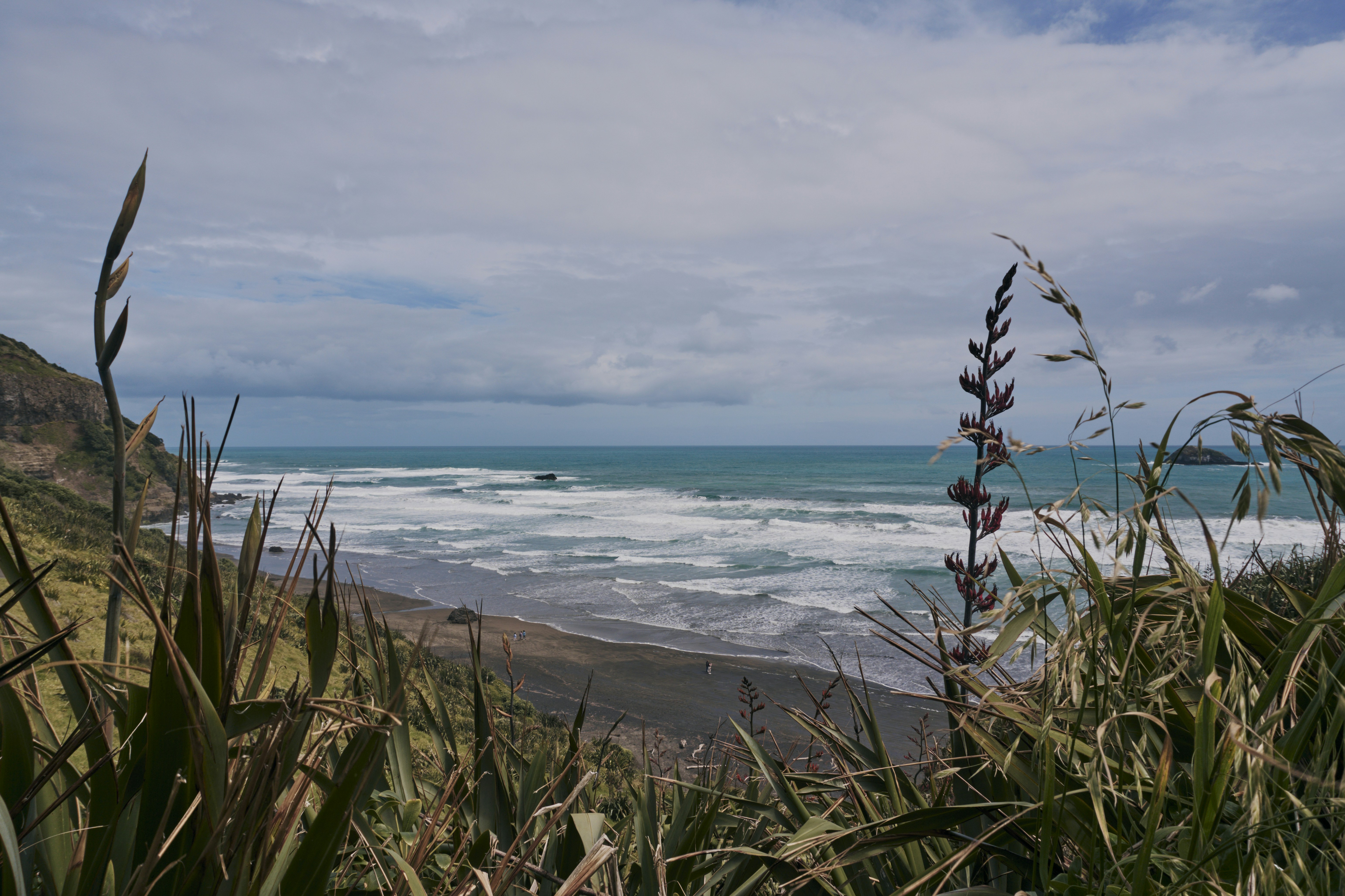 Waves crashing against a rocky shore framed by coastal vegetation under a cloudy sky.