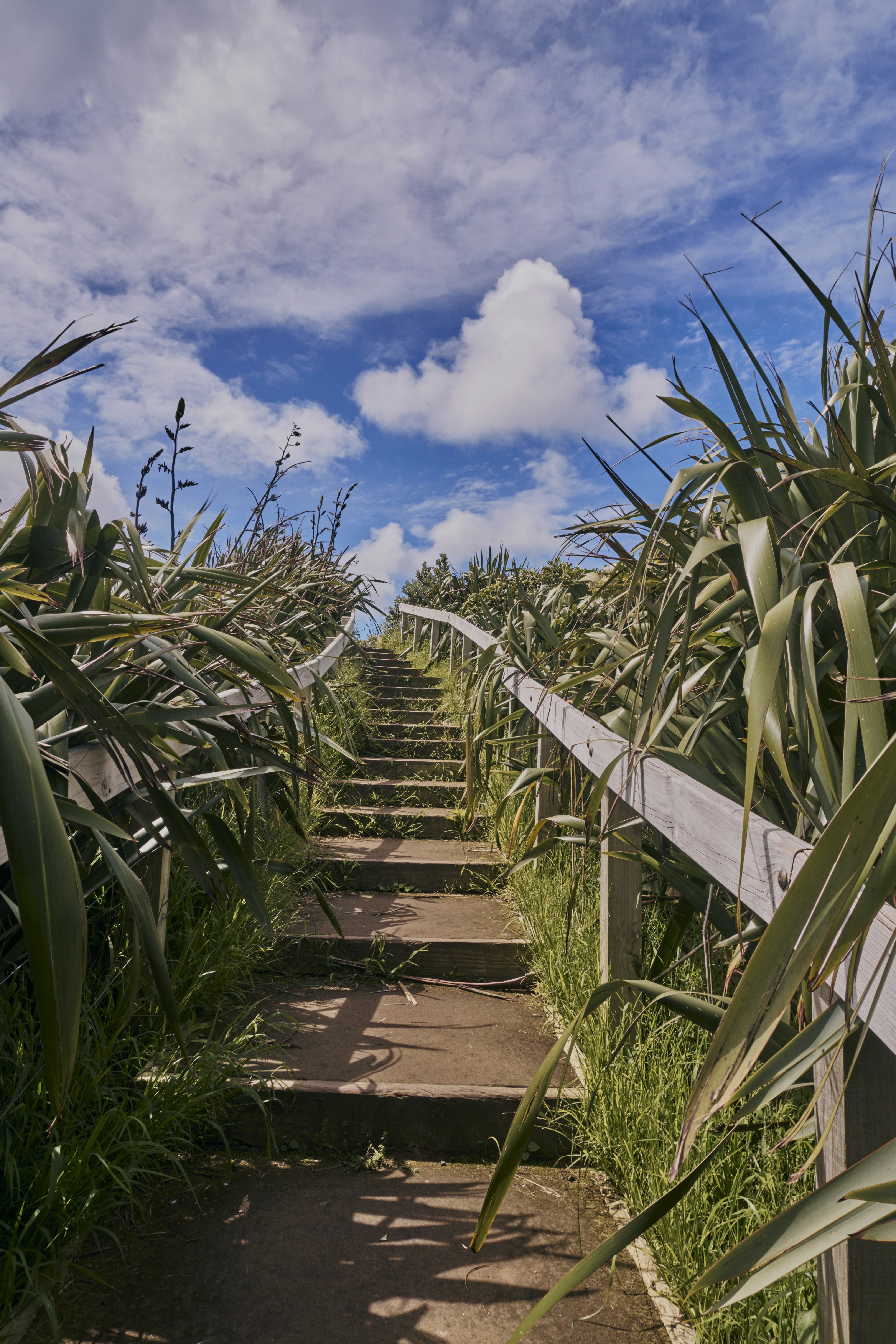 Photo by Andy Styn with Sony Sony ZV-E10 II