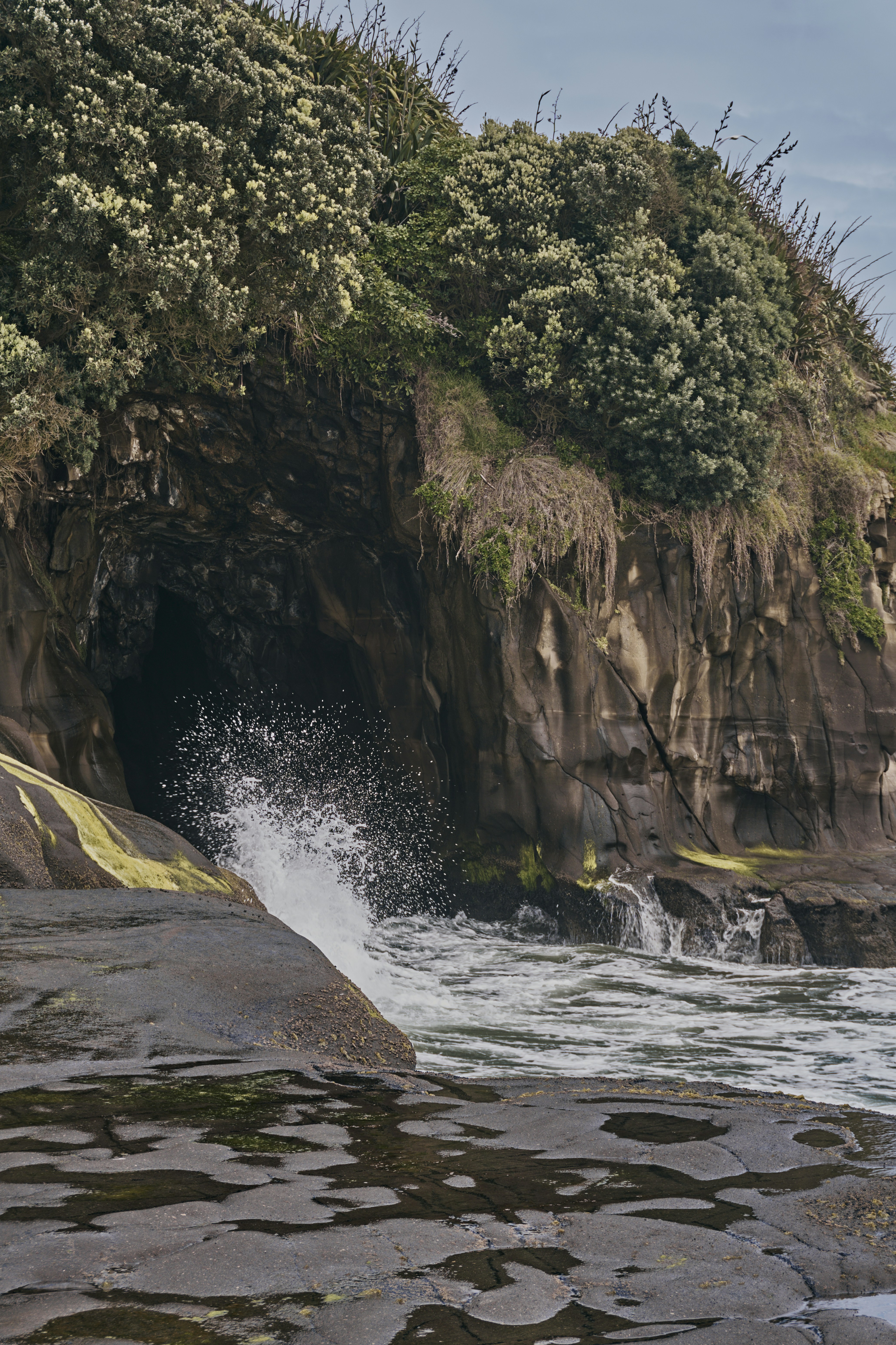 Whispers of the Shoreline: Nature's Hidden Gateway