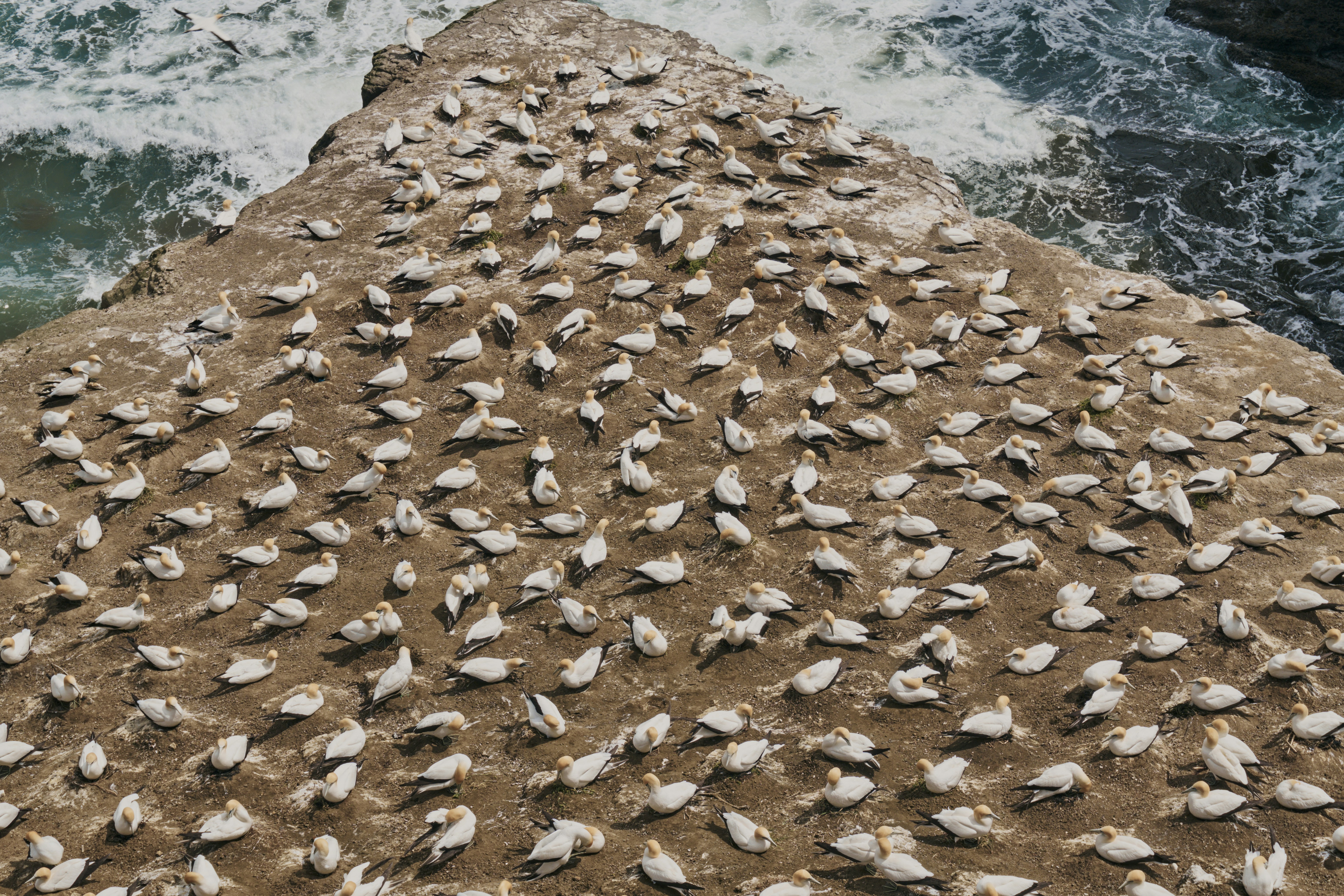 Photo by Andy Styn with Sony Sony ZV-E10 II