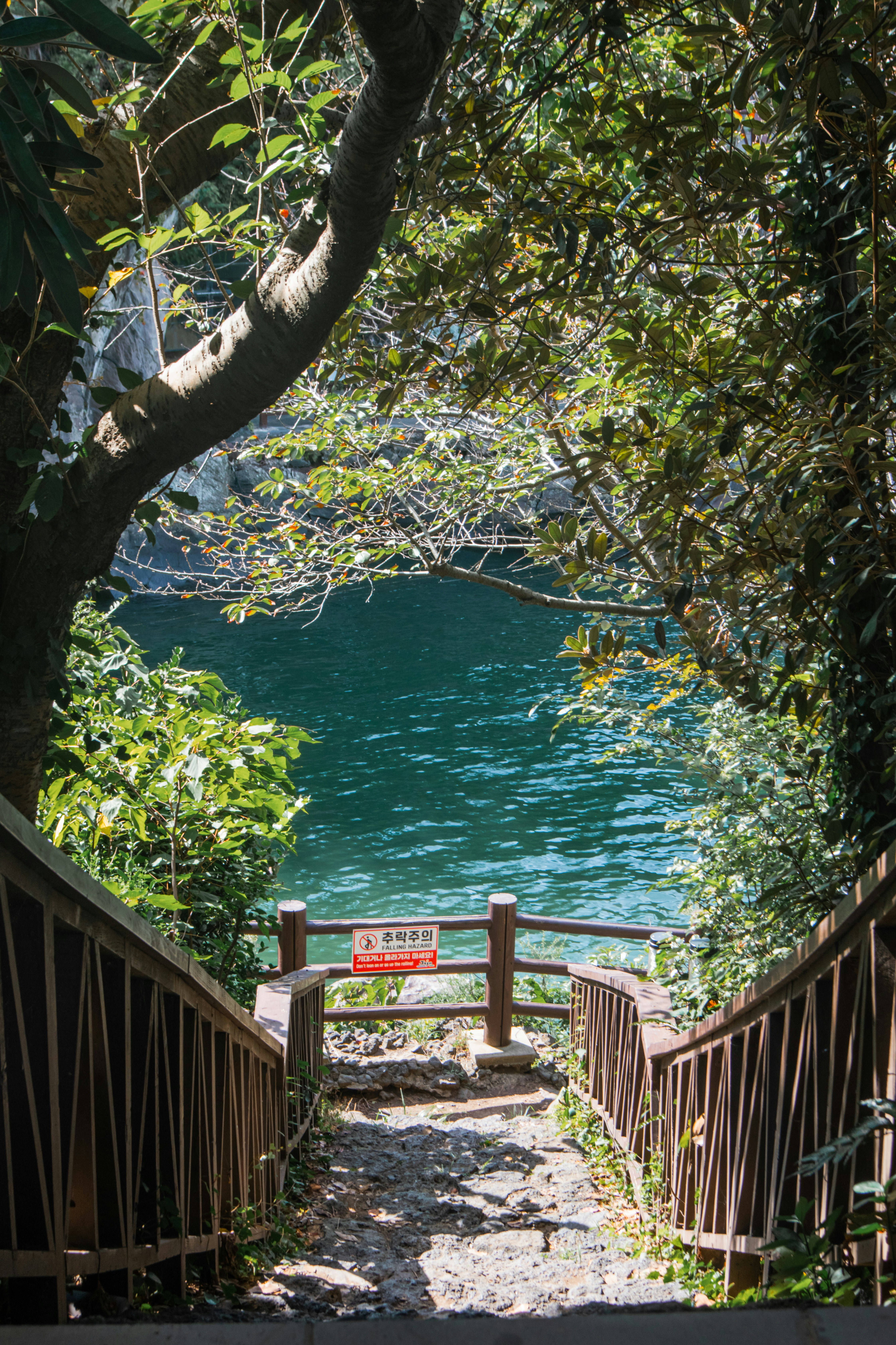 Serene Descent to Tranquil Waters
