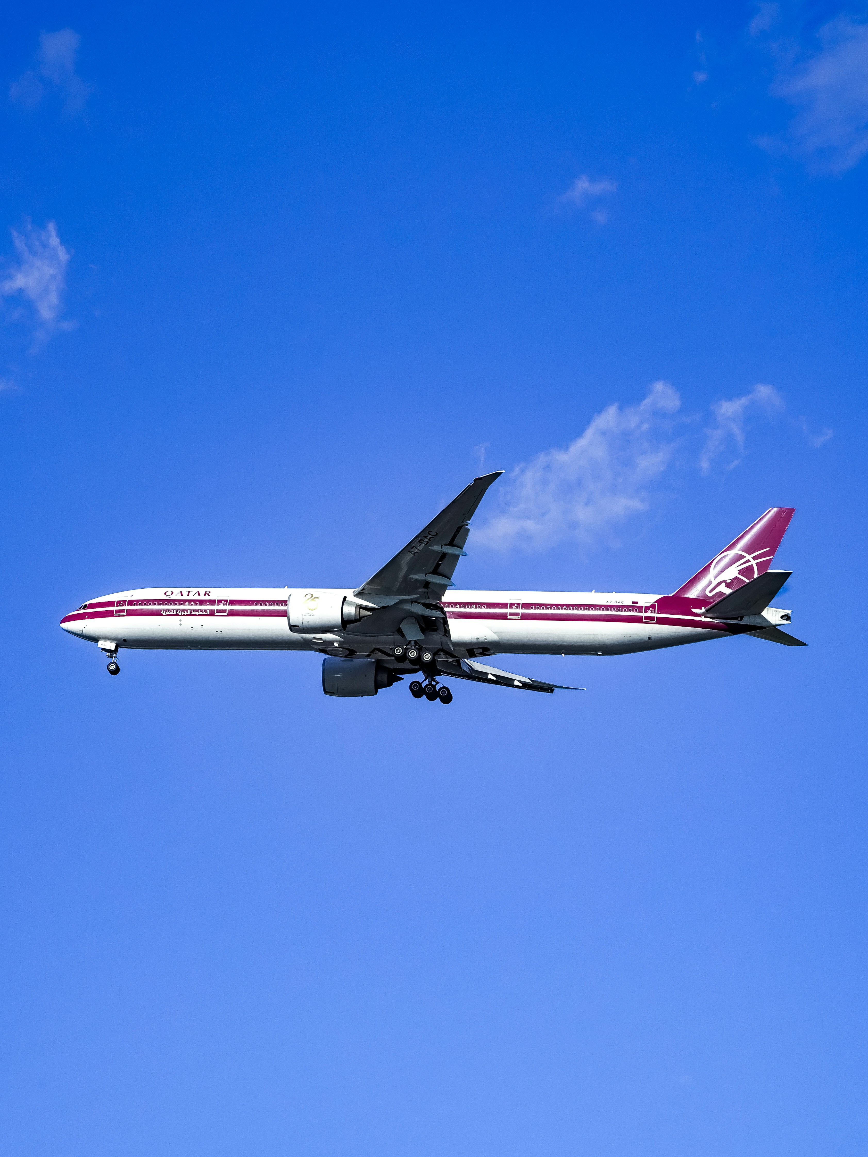Aerial Elegance: The Majestic Descent
