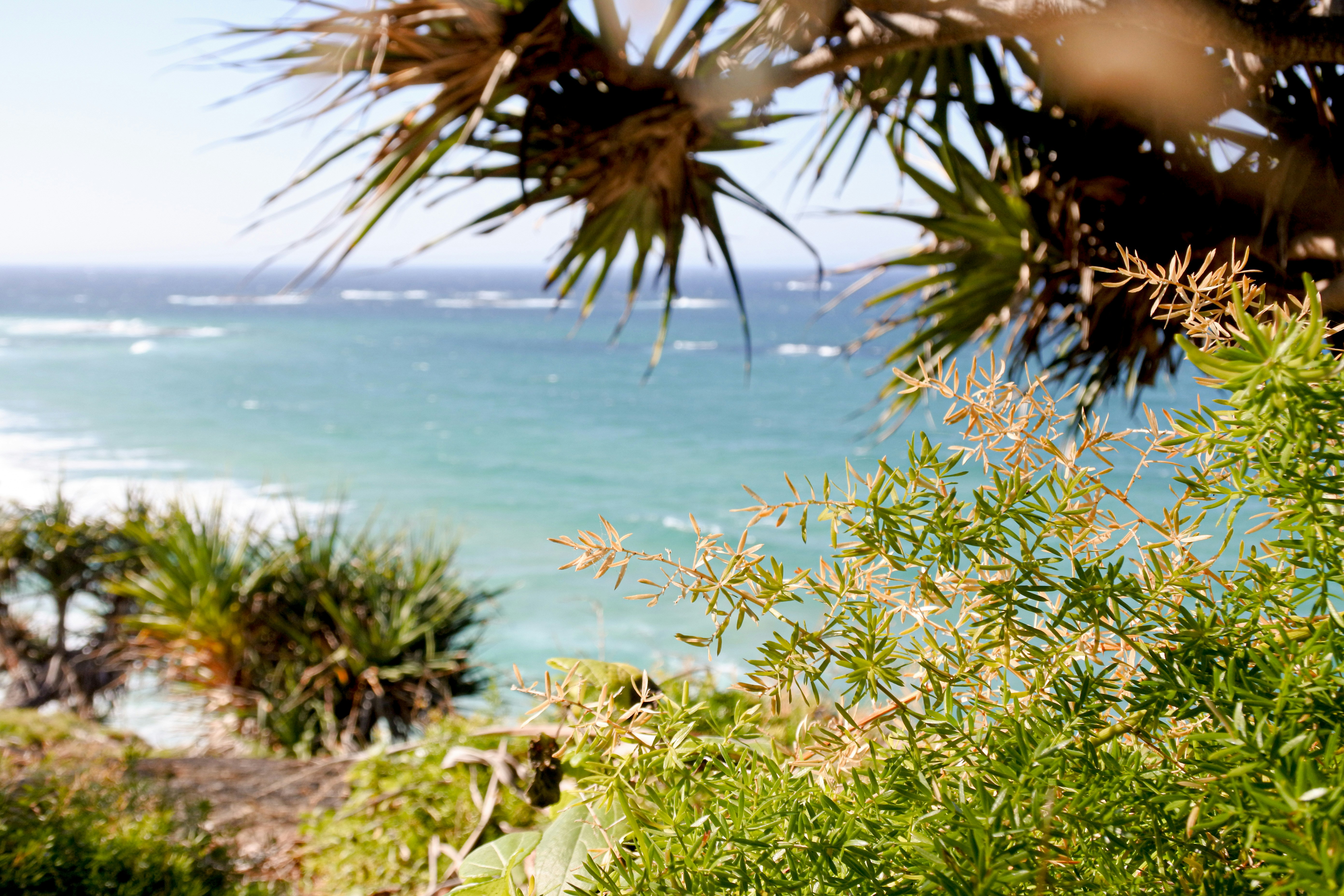 Photo by HsinKai Tai with Nikon 1 J5