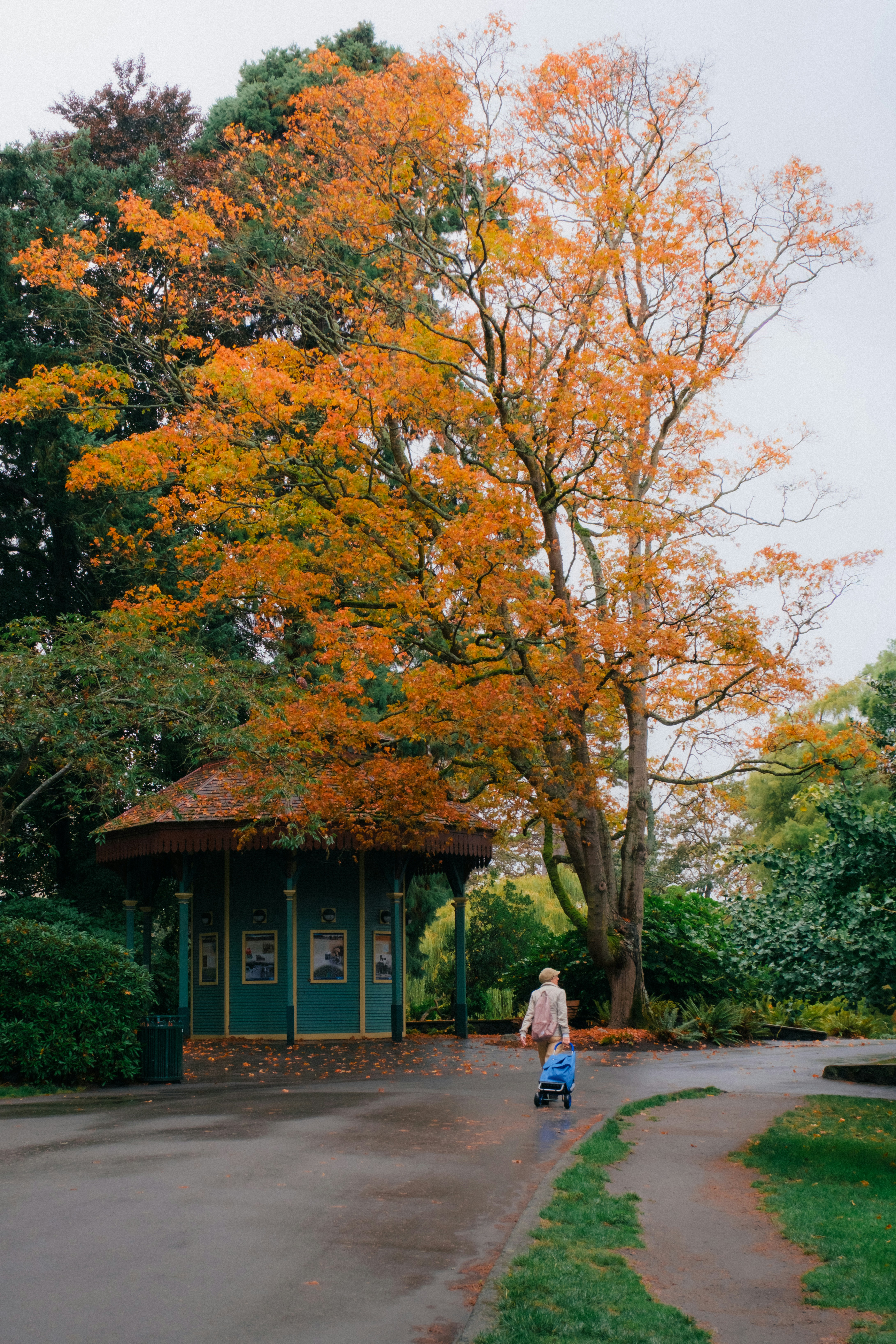 Autumn Stroll Through the Garden's Embrace