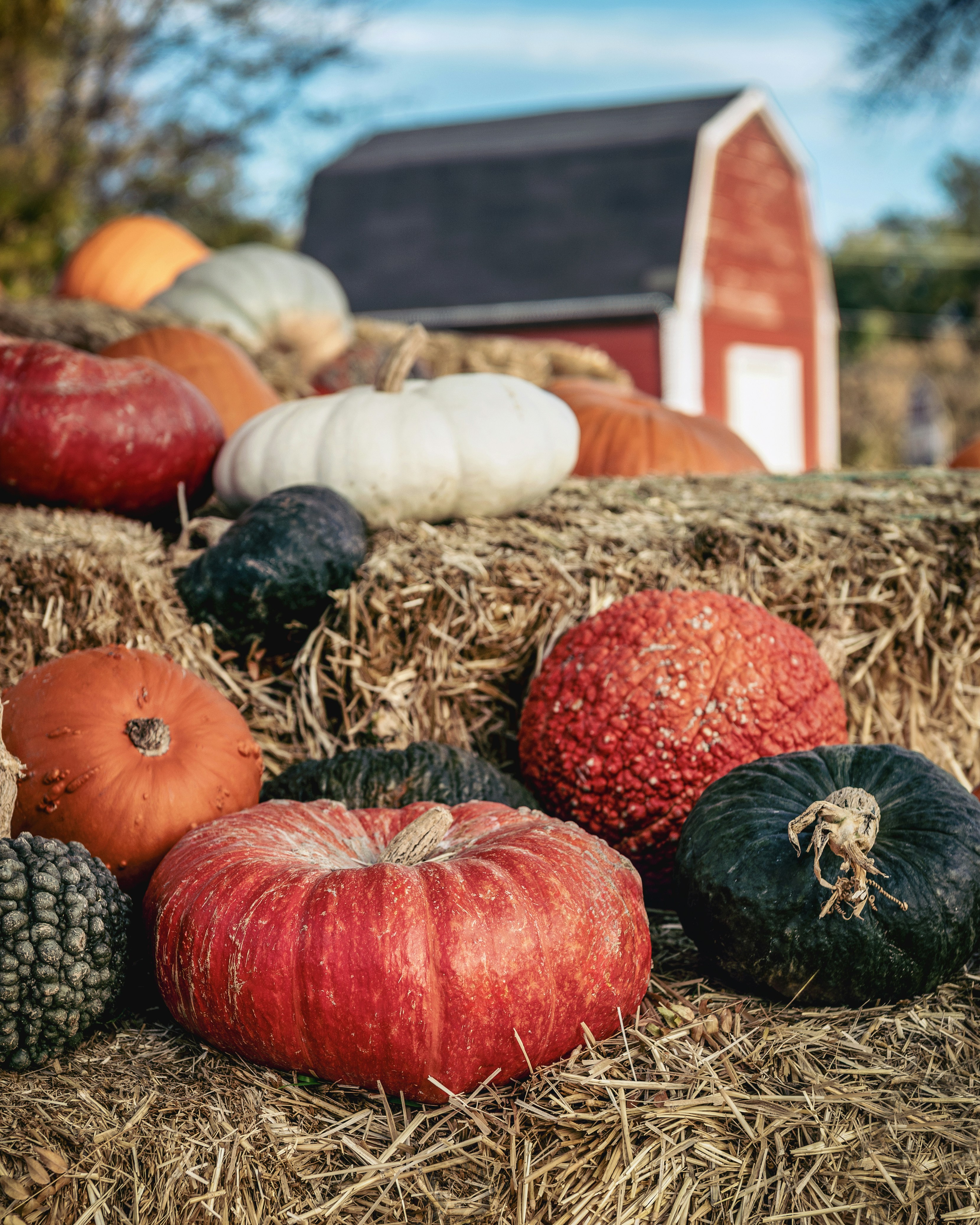Autumn on the Farm | Assortment of pumpkins and gourds on hay bales