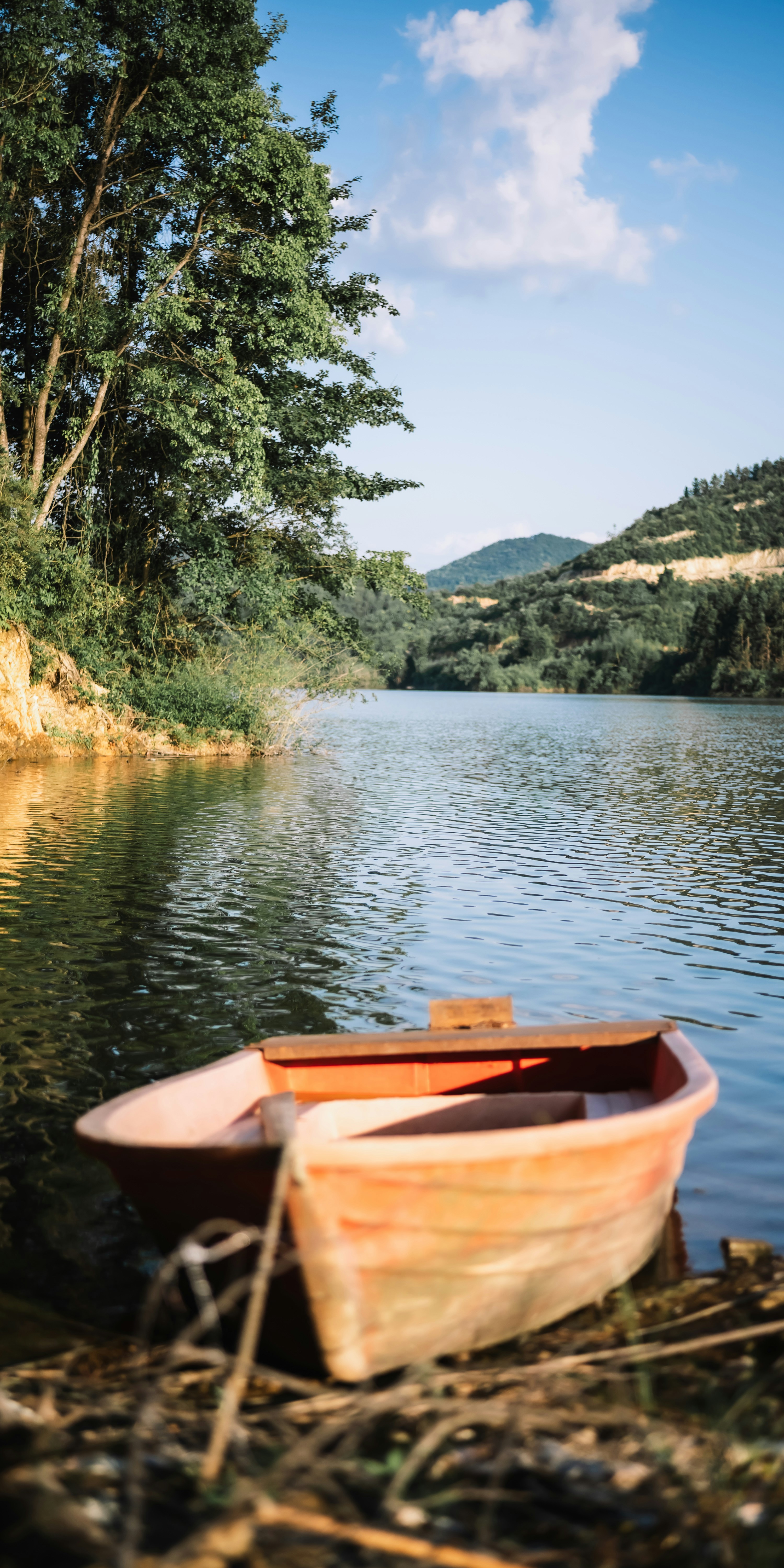 Serenity at the Water's Edge